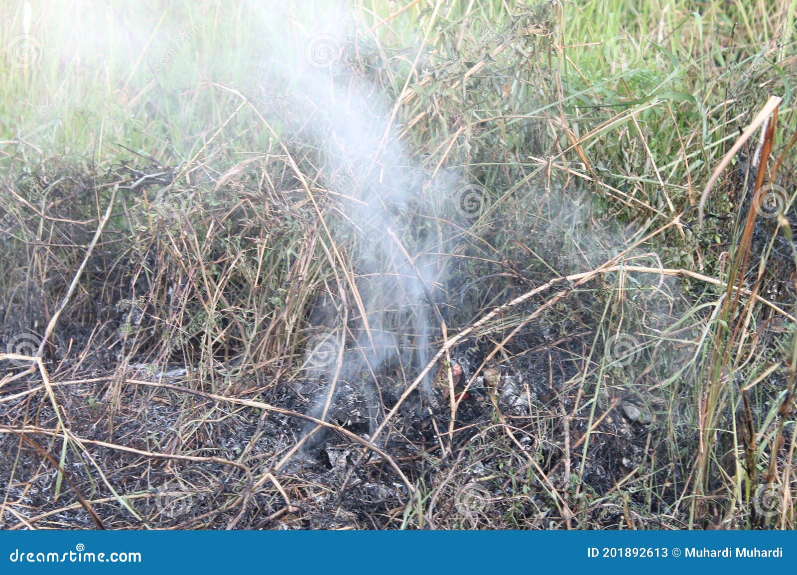 Smoke burning dry grass stock image. Image of weeds - 201892613