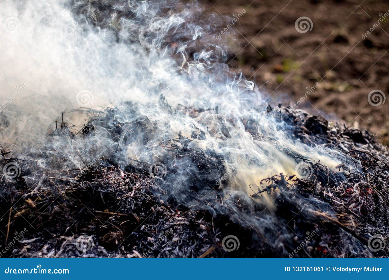 Smoke from Burning Garbage. Pollution of the Environment_ Stock Image ...