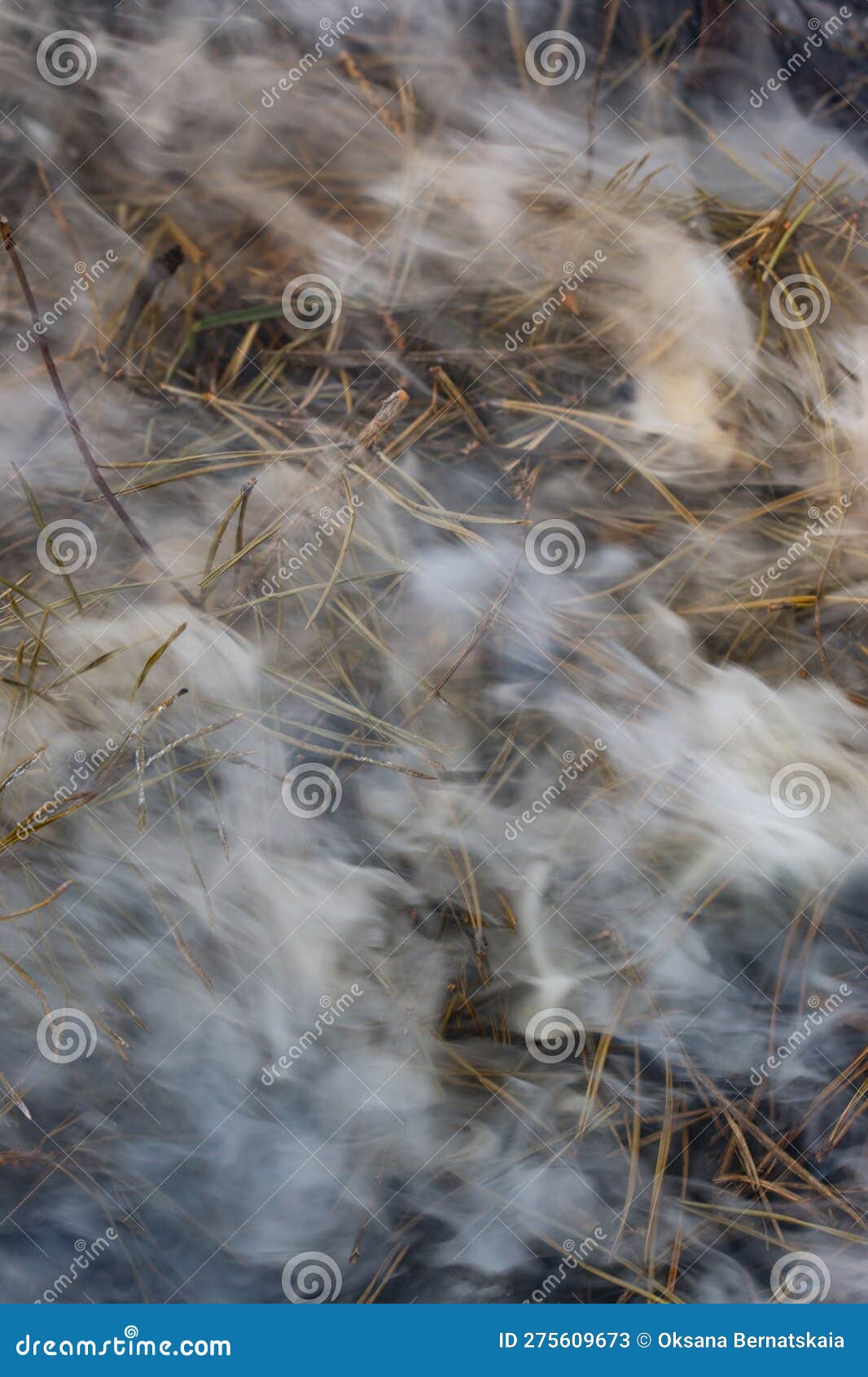 Smoke from Burning Grass As a Background Stock Image - Image of smog ...