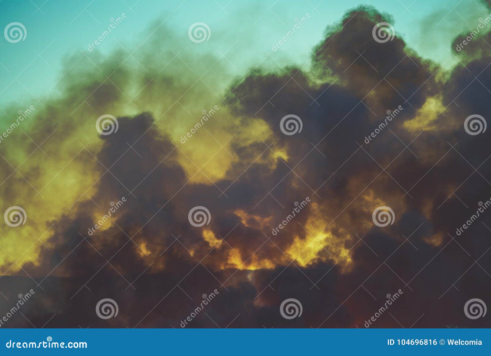 Smoke From Burning Leaves Over Raspberry Bushes Royalty-Free Stock ...