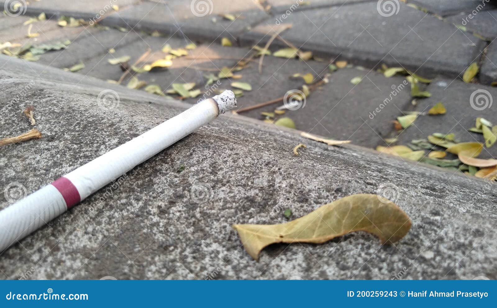 Smoke of Cigarettes stock image. Image of leaf, road - 200259243
