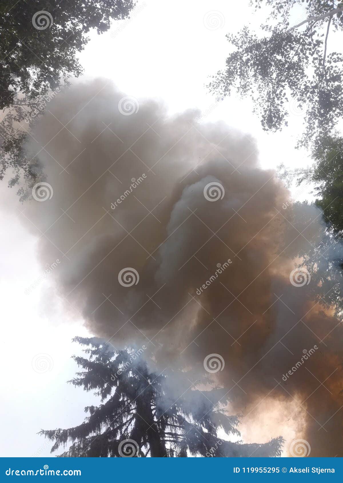 Smoke rising stock image. Image of fire, cloud, smoke - 119955295