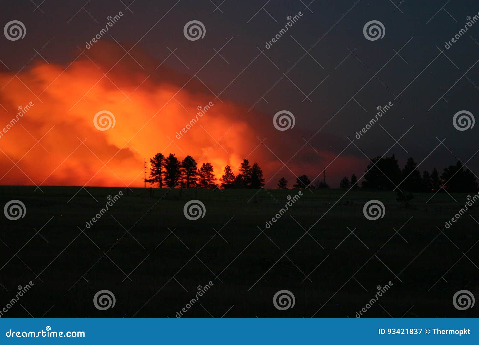 Smoke Column from Wildfire Ant Night Stock Image - Image of night ...