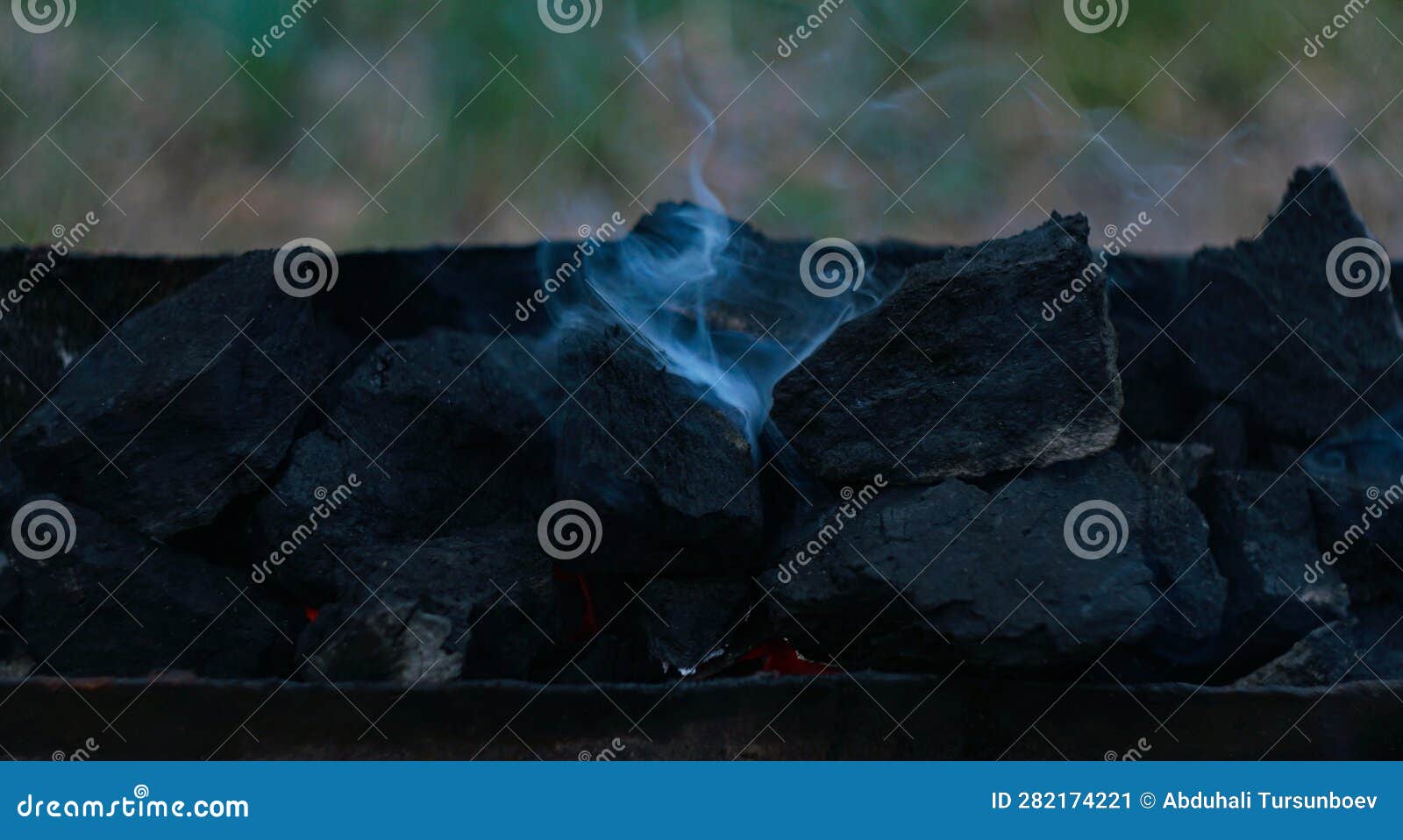 Smoke Comes Out of the Coal Stock Image - Image of grill, firewood ...