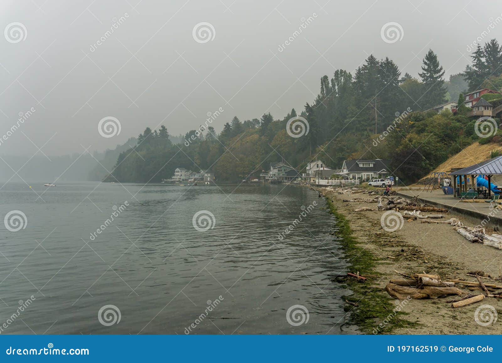 Smoke at Dash Point 3 stock image. Image of outdoors - 197162519