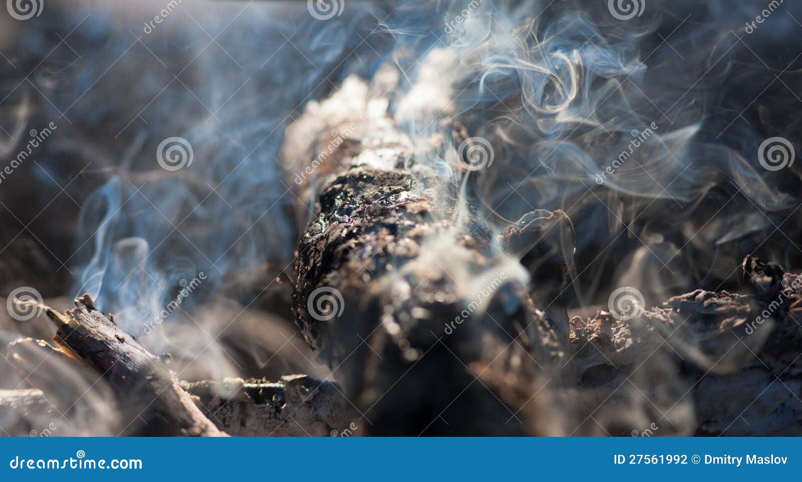 Smoke of a fire stock photo. Image of firewood, nature - 27561992