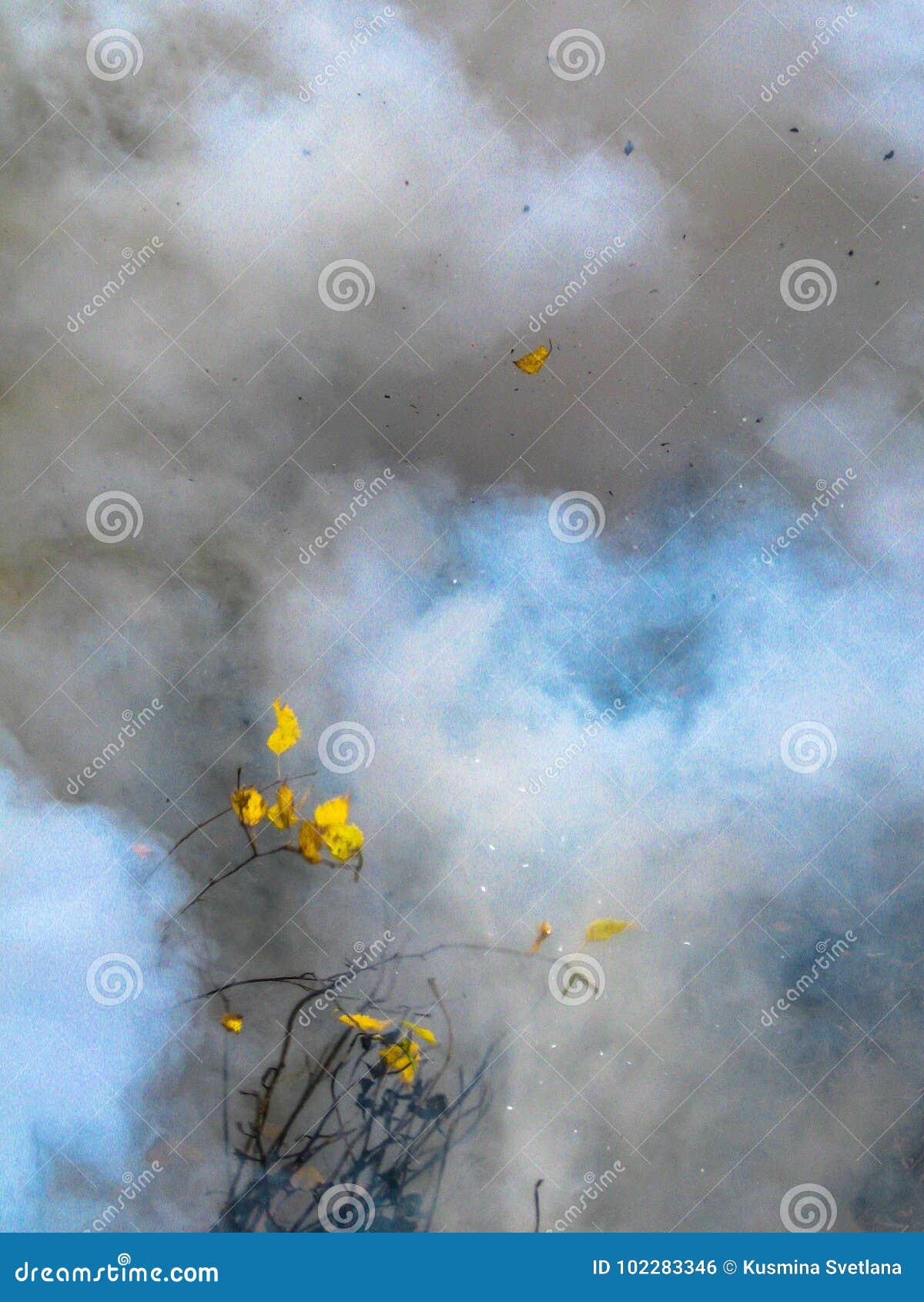 The smoke of a fire. stock photo. Image of factory, dynamic - 102283346