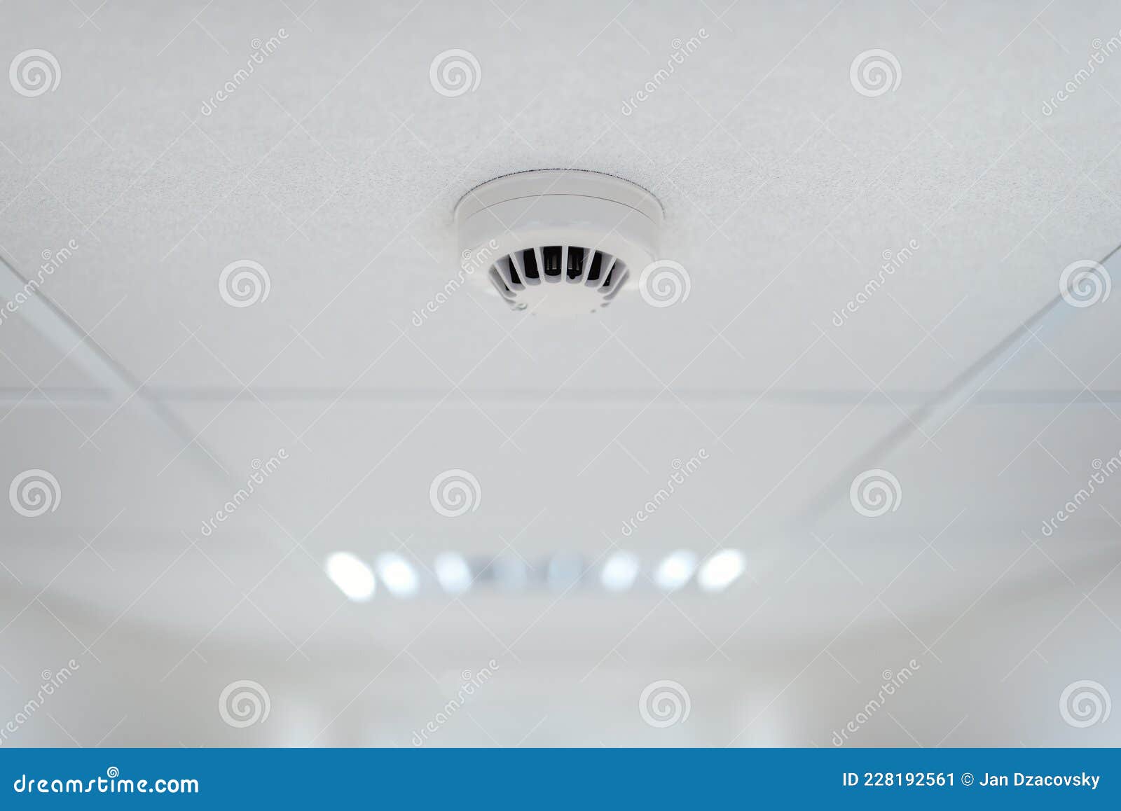 Smoke and Fire Detector Built into the Ceiling Connected To Clean Agent ...