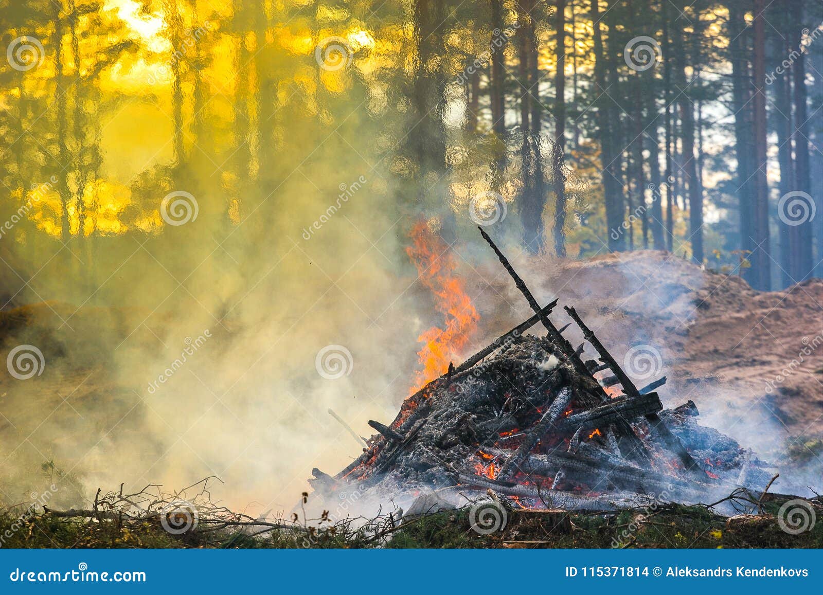 Forest Cutting, Burning of Forest Waste. Smoke and Fire. Stock Photo ...