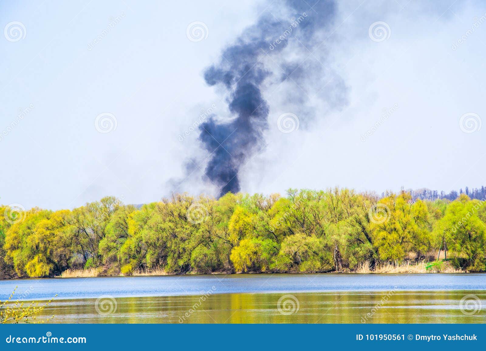 Smoke from a Fire in the Forest Stock Image - Image of fire, landscape ...