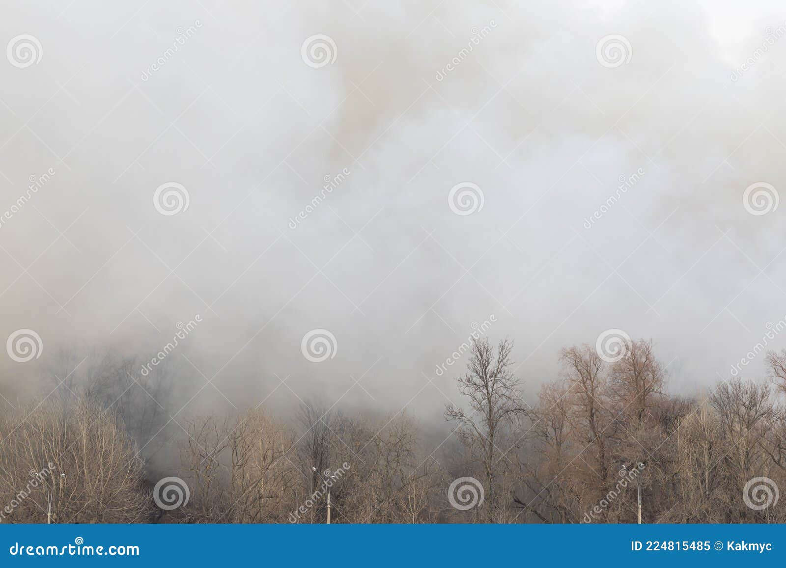 Smoke from a Fire in a Forest Stock Image - Image of destroy, pole ...