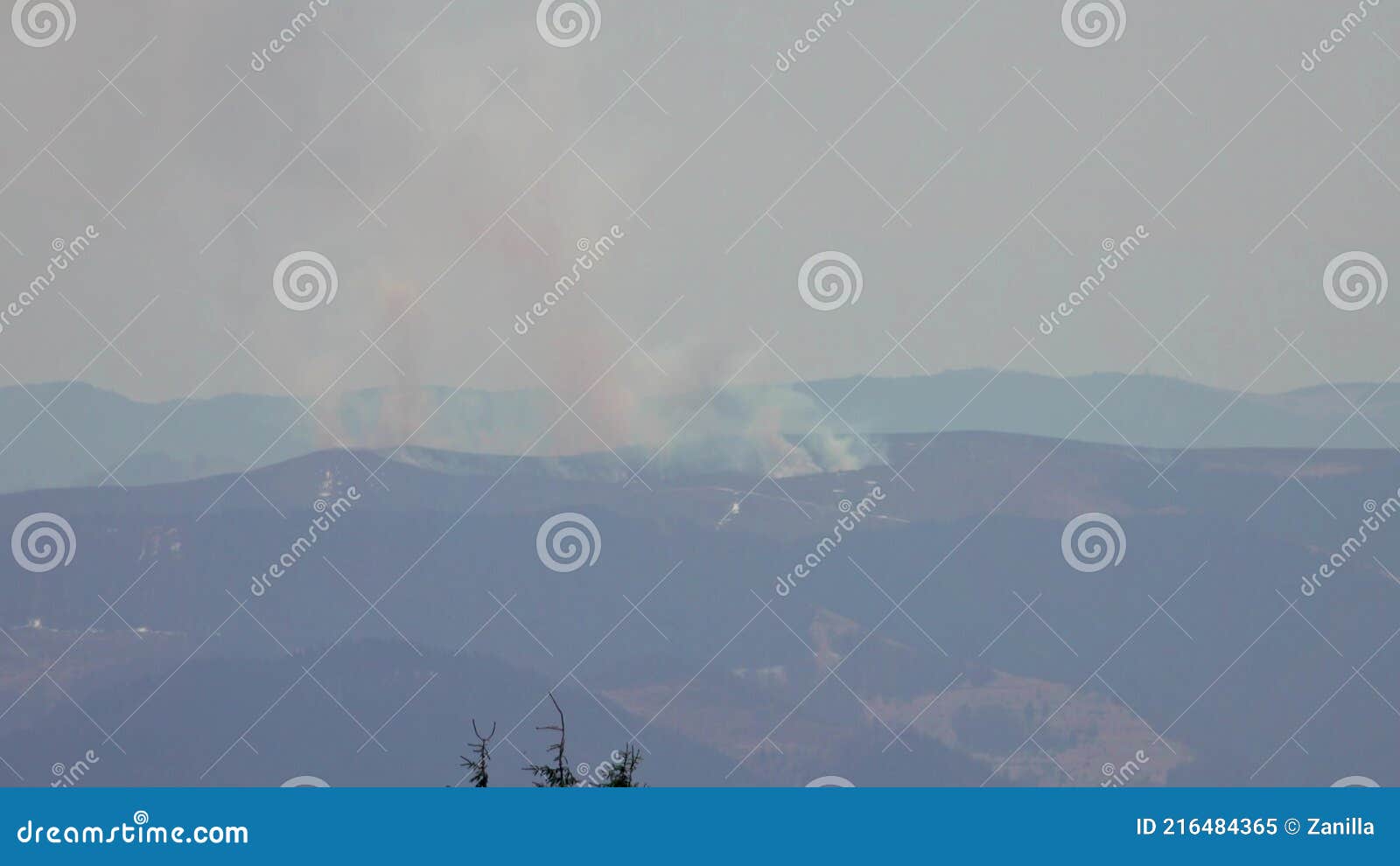 Forest Fire - Fire - Natural Disaster Stock Video - Video of heat ...