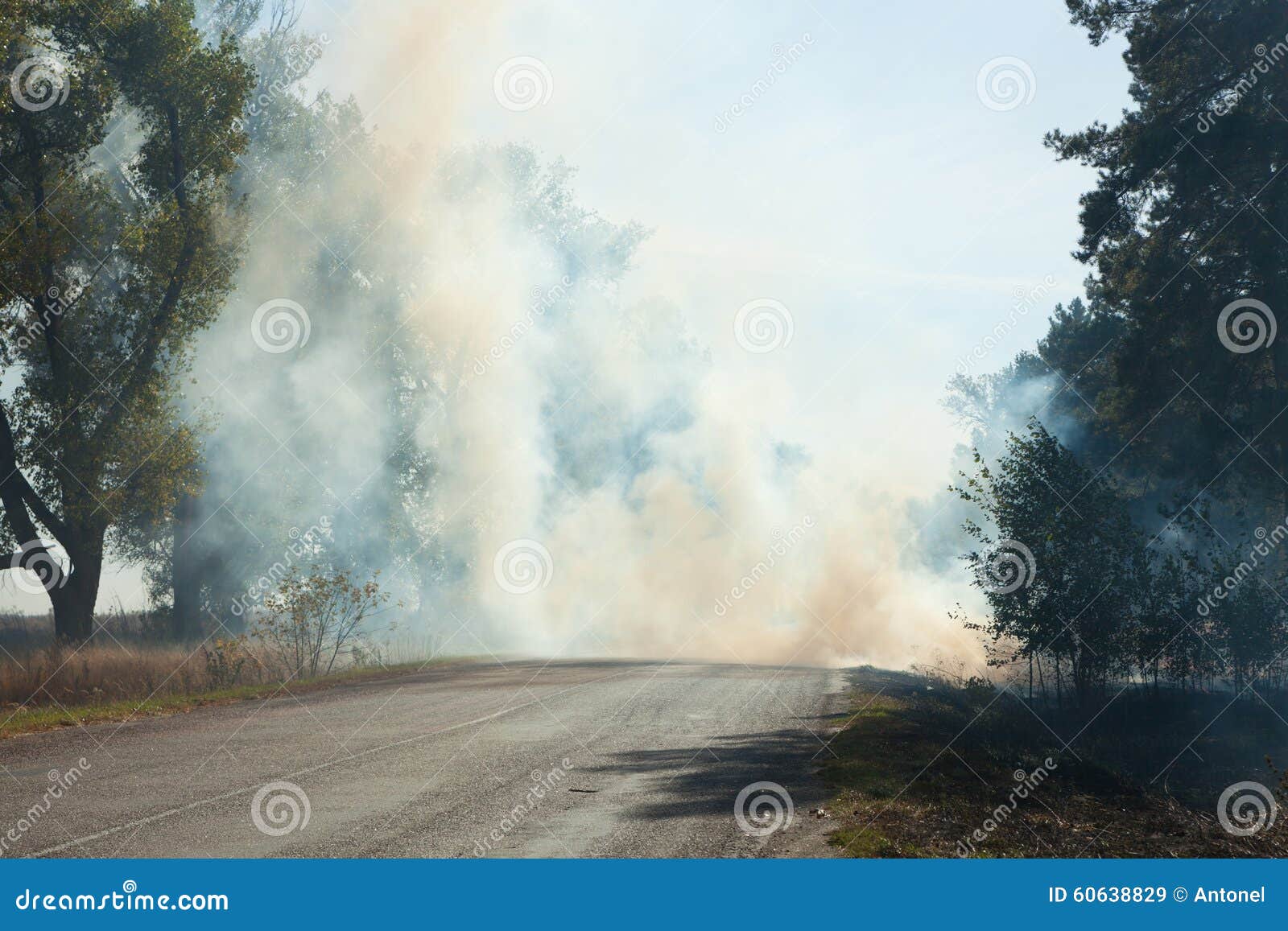 Smoke from the fire stock image. Image of road, outdoor - 60638829
