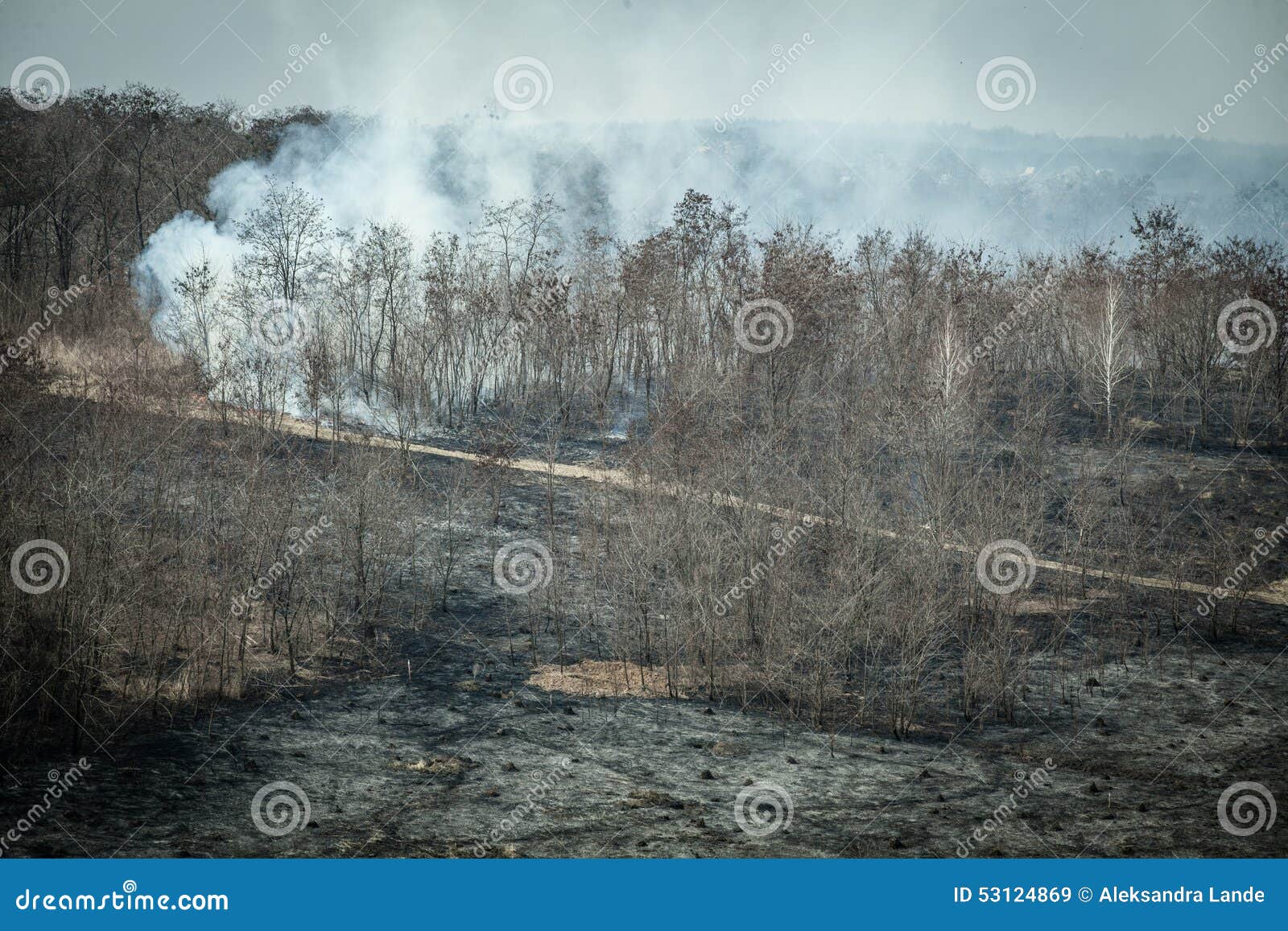 Smoke in the forest stock image. Image of summer, range - 53124869