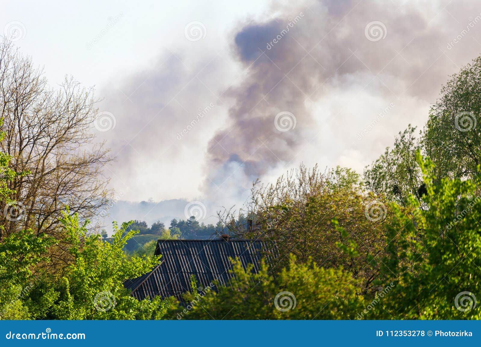 Forest fire view from afar stock photo. Image of pine - 112353278