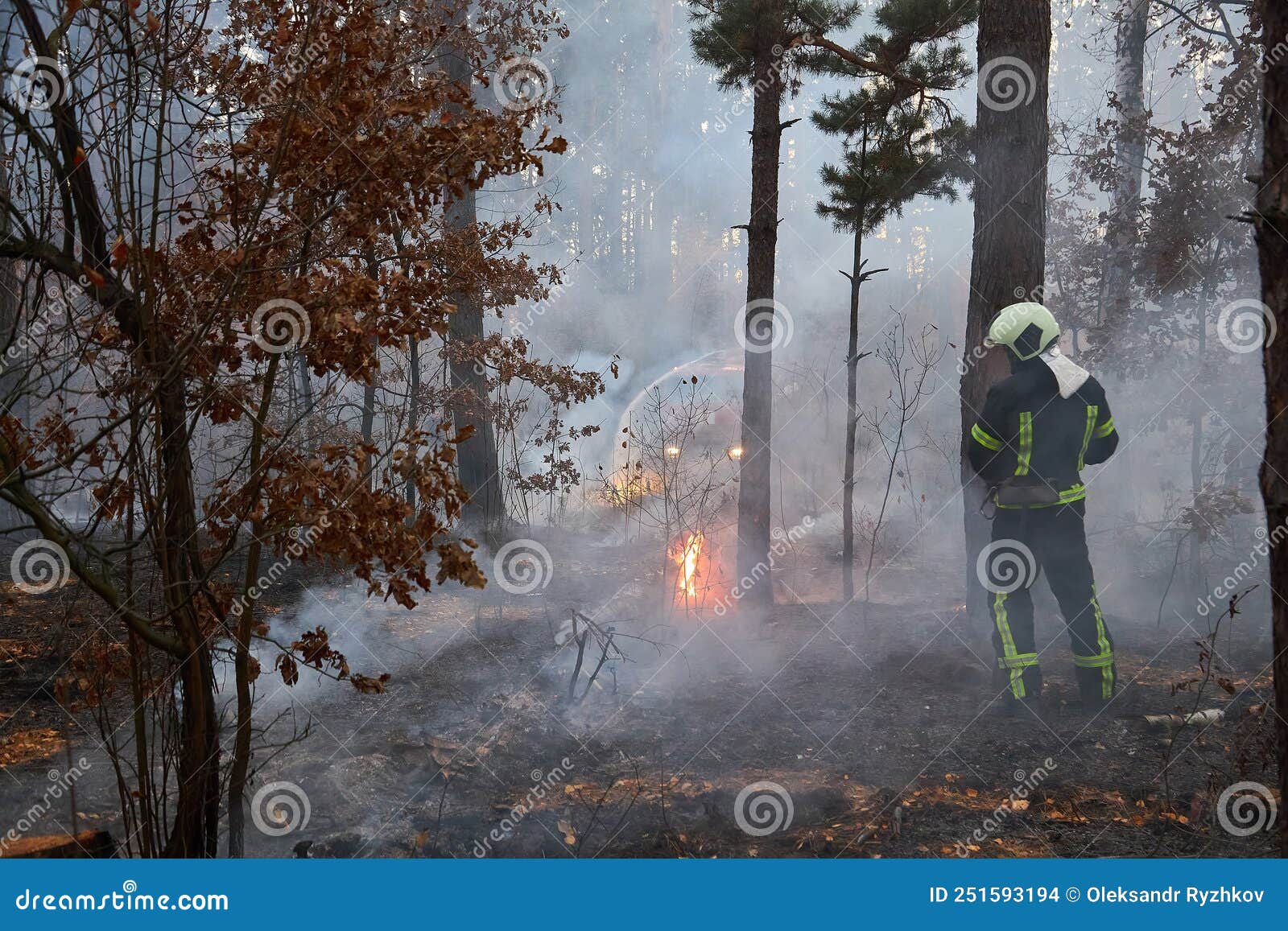 Smoke forest and fireman stock photo. Image of burning - 251593194