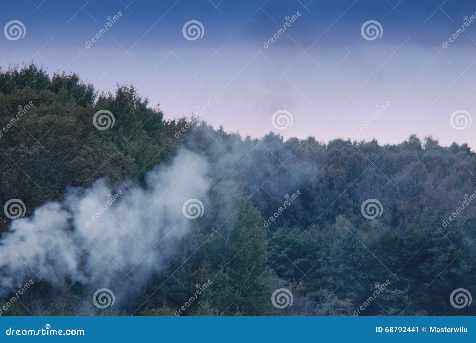 Smoke in the forest stock image. Image of fire, environment - 68792441
