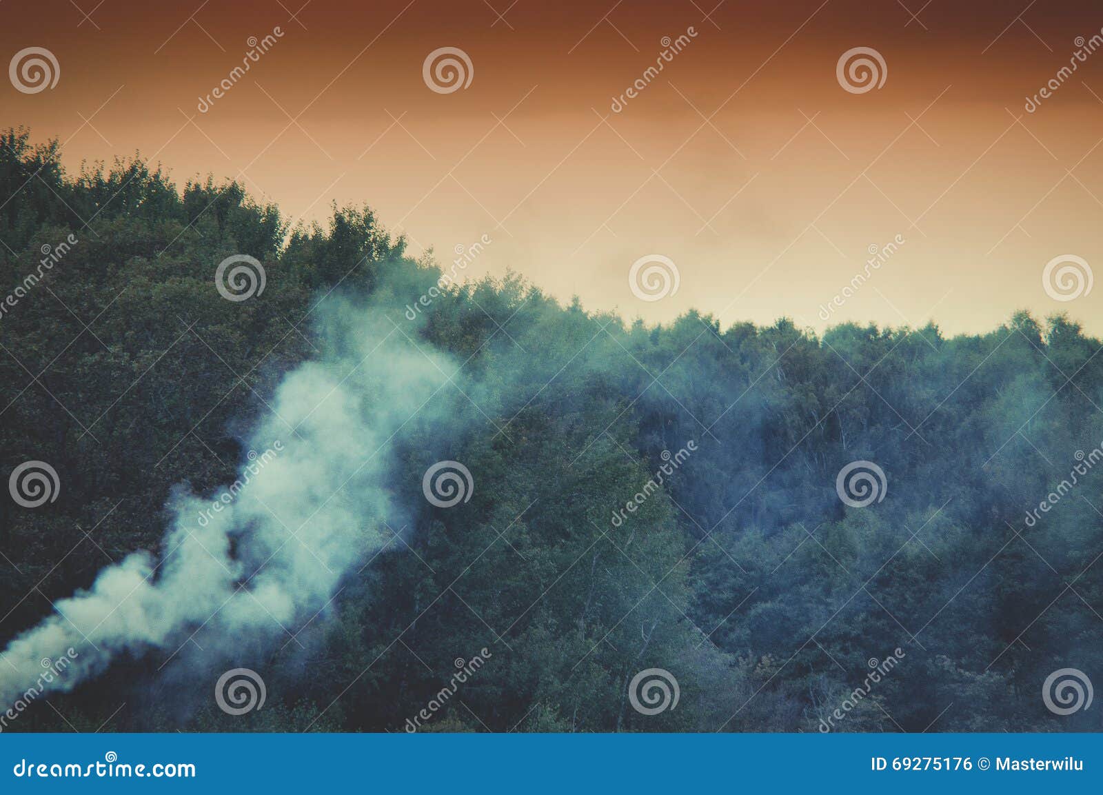 Smoke in the forest stock photo. Image of dark, natural - 69275176