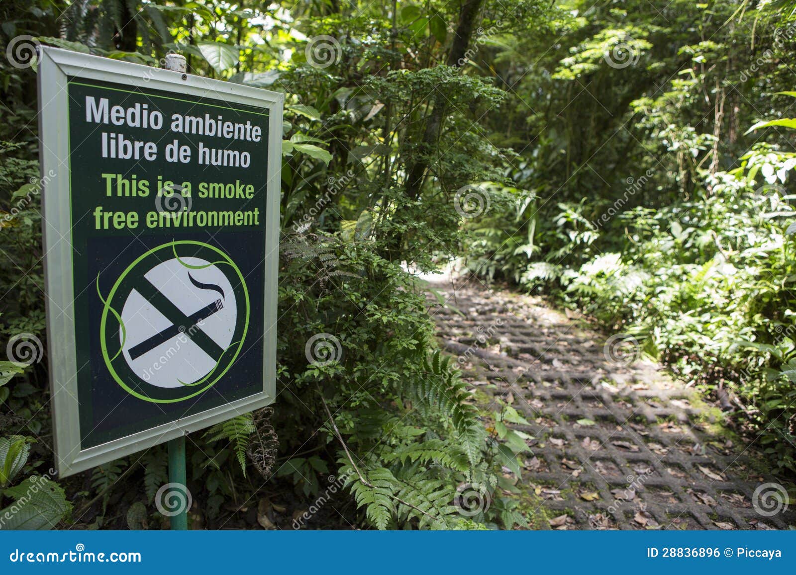 Smoke Free Environment Sign in the Forest Stock Photo - Image of ...