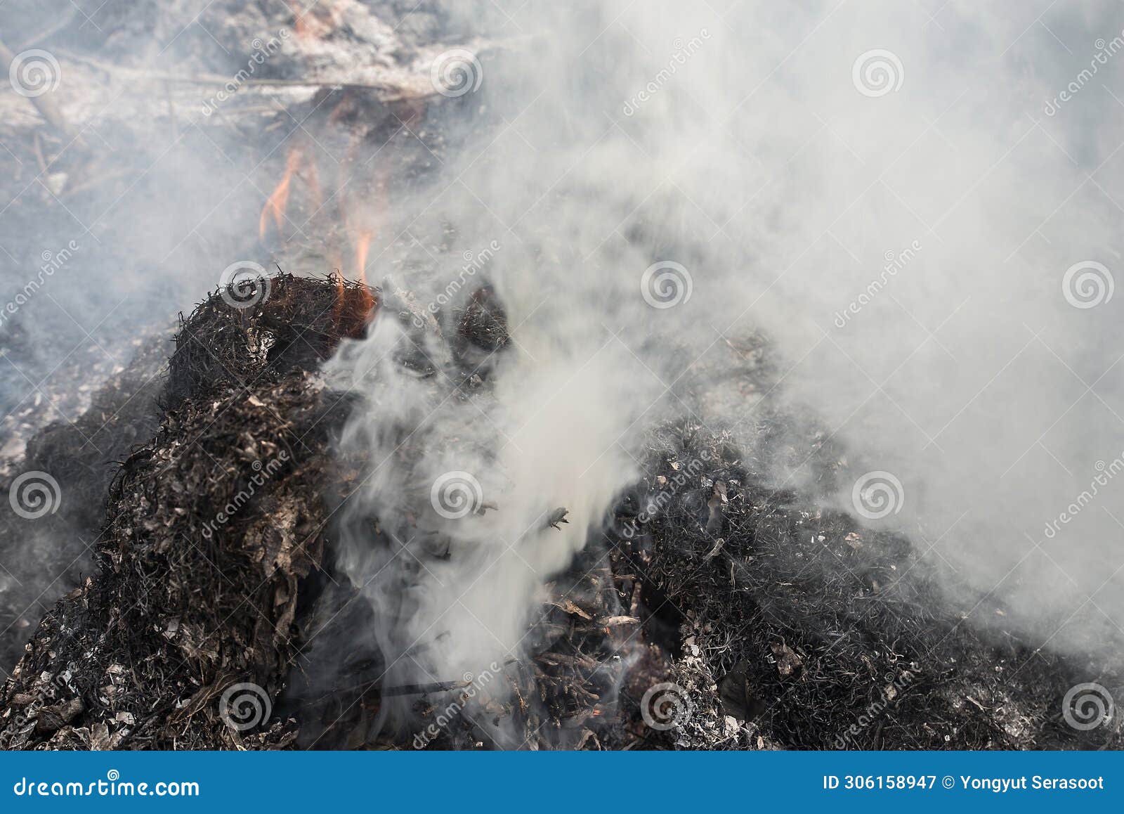 Smoke from the Garbage. Destroying the Environment Stock Image - Image ...