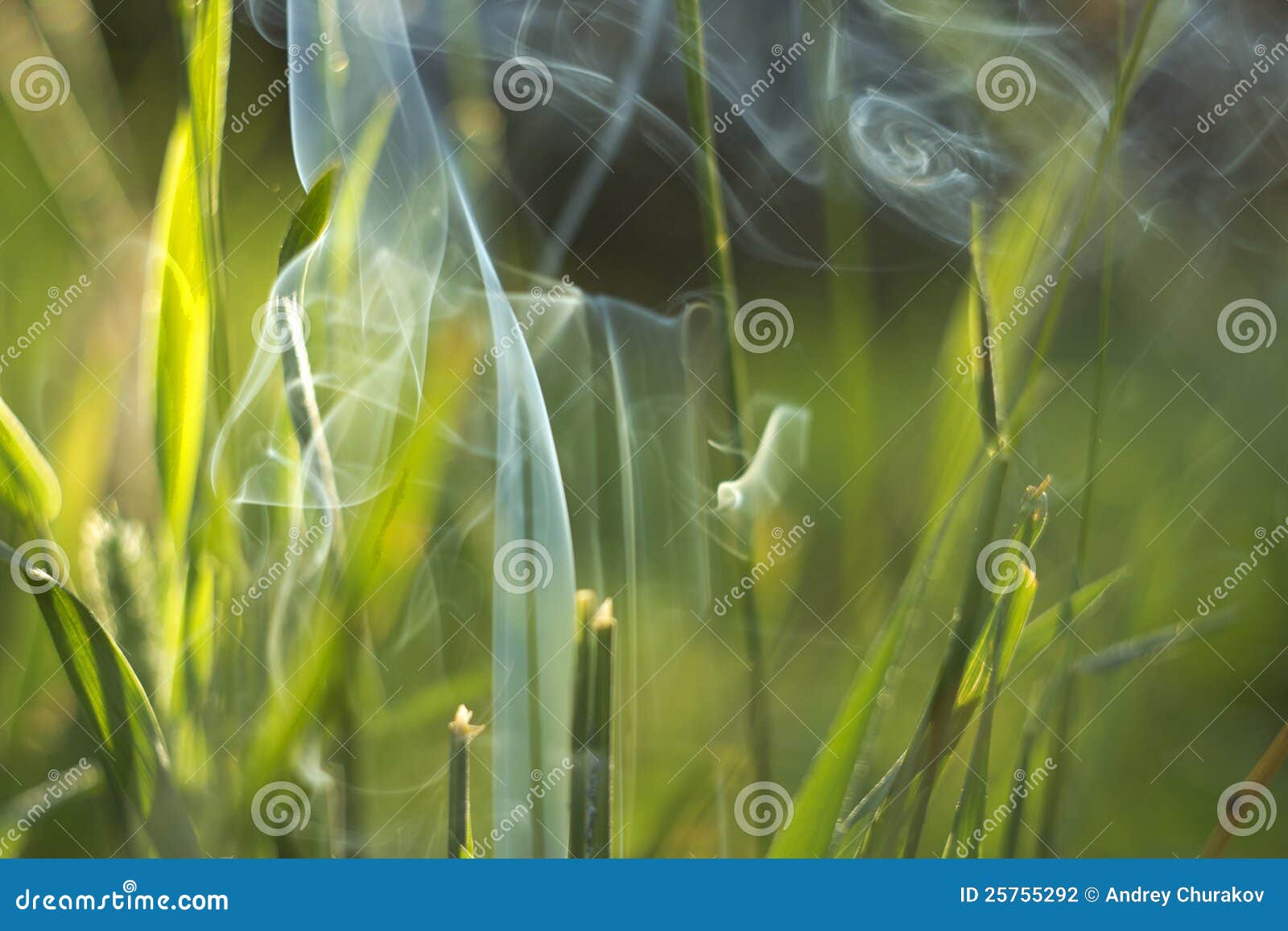 Smoke in the grass stock photo. Image of smoke, summer - 25755292