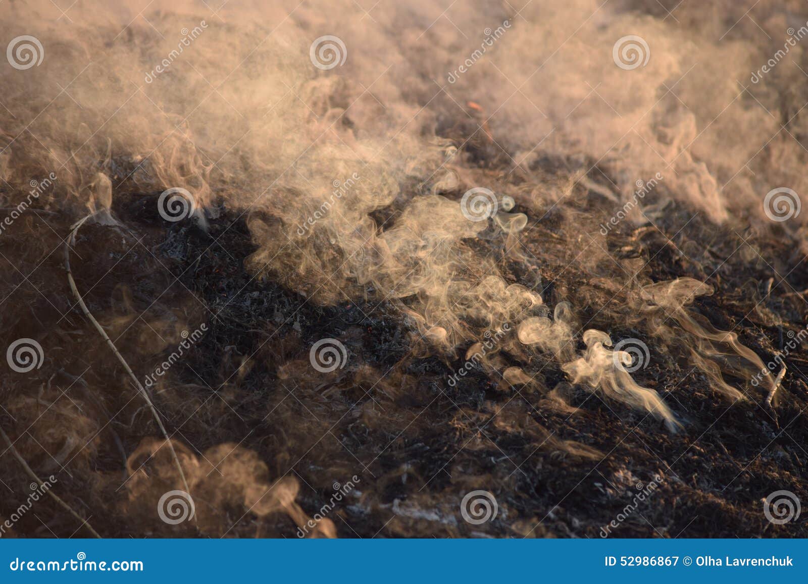 Smoke on the ground stock image. Image of grass, burnt - 52986867