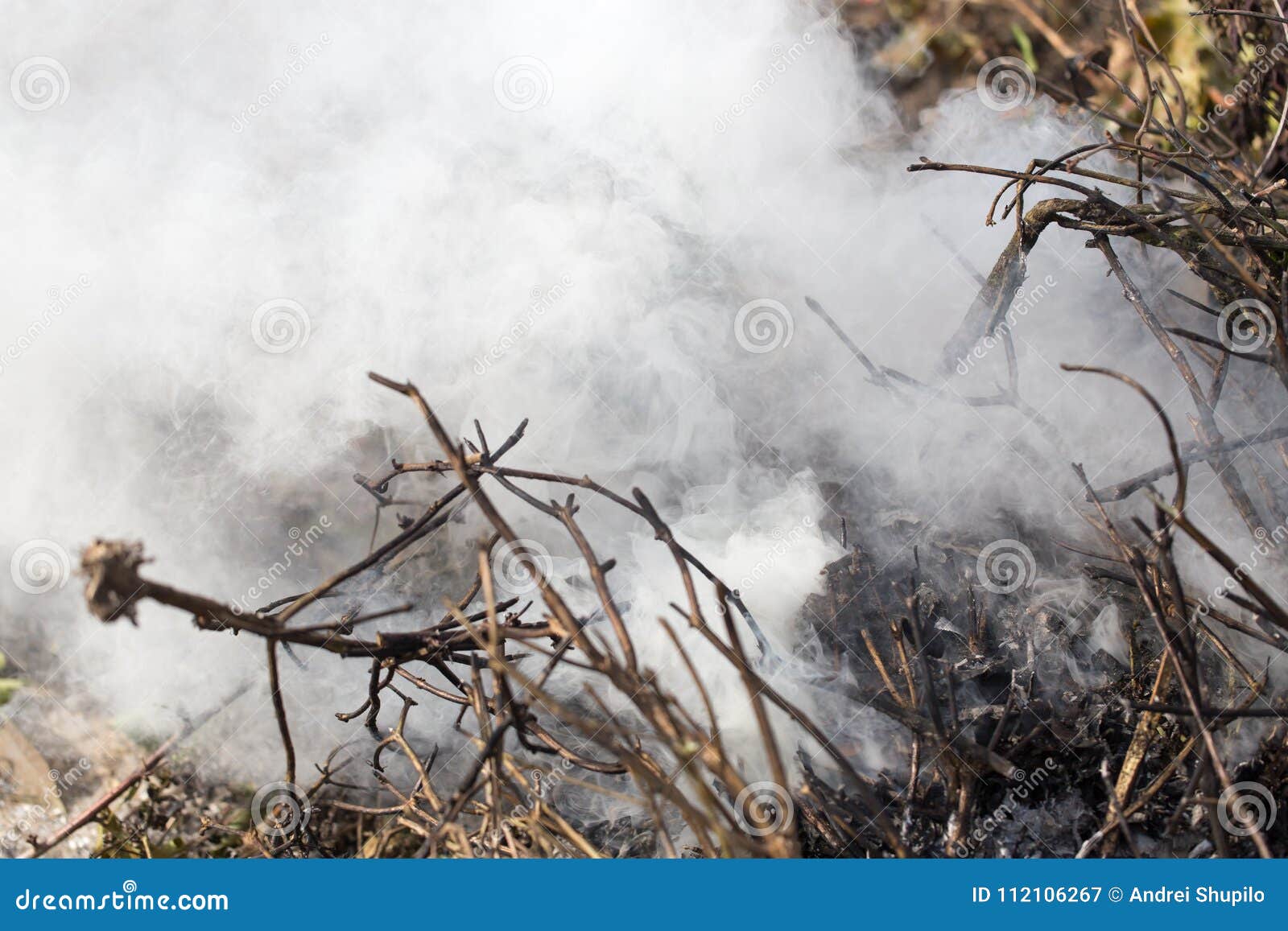 The Smoke from the Leaves in Nature Stock Image - Image of leaf, bridge ...