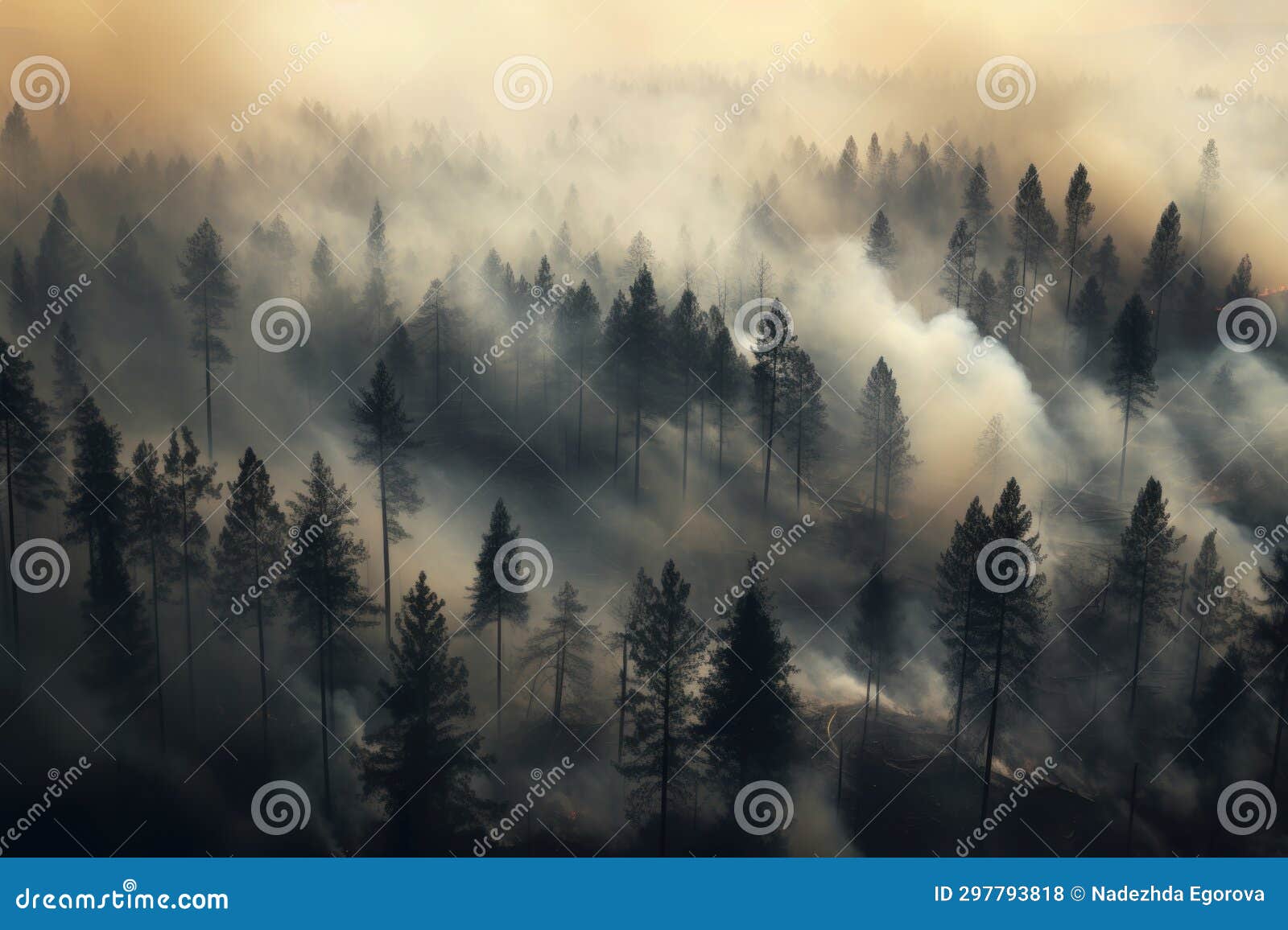 Smoke Over the Forest, Fire in the Pine Forest, Arial View Stock ...