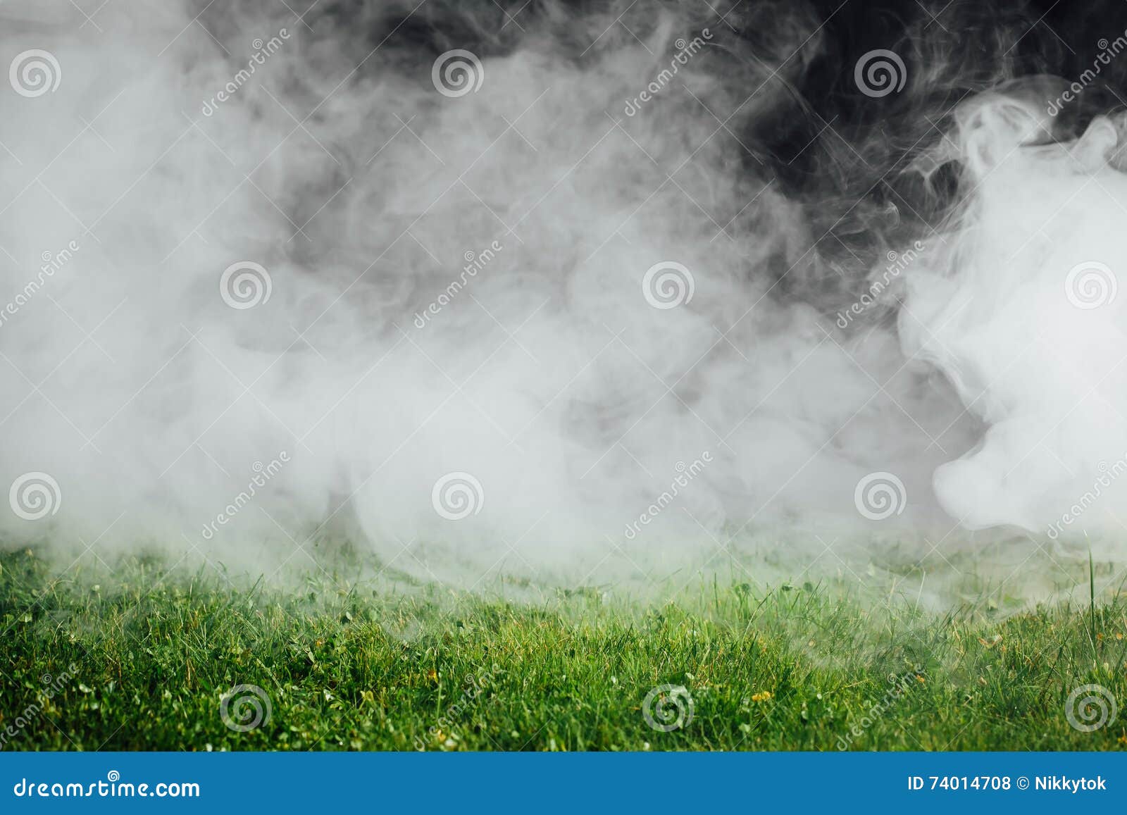 Smoke Over the Green Grass Lawn Stock Photo - Image of backyard, garden ...
