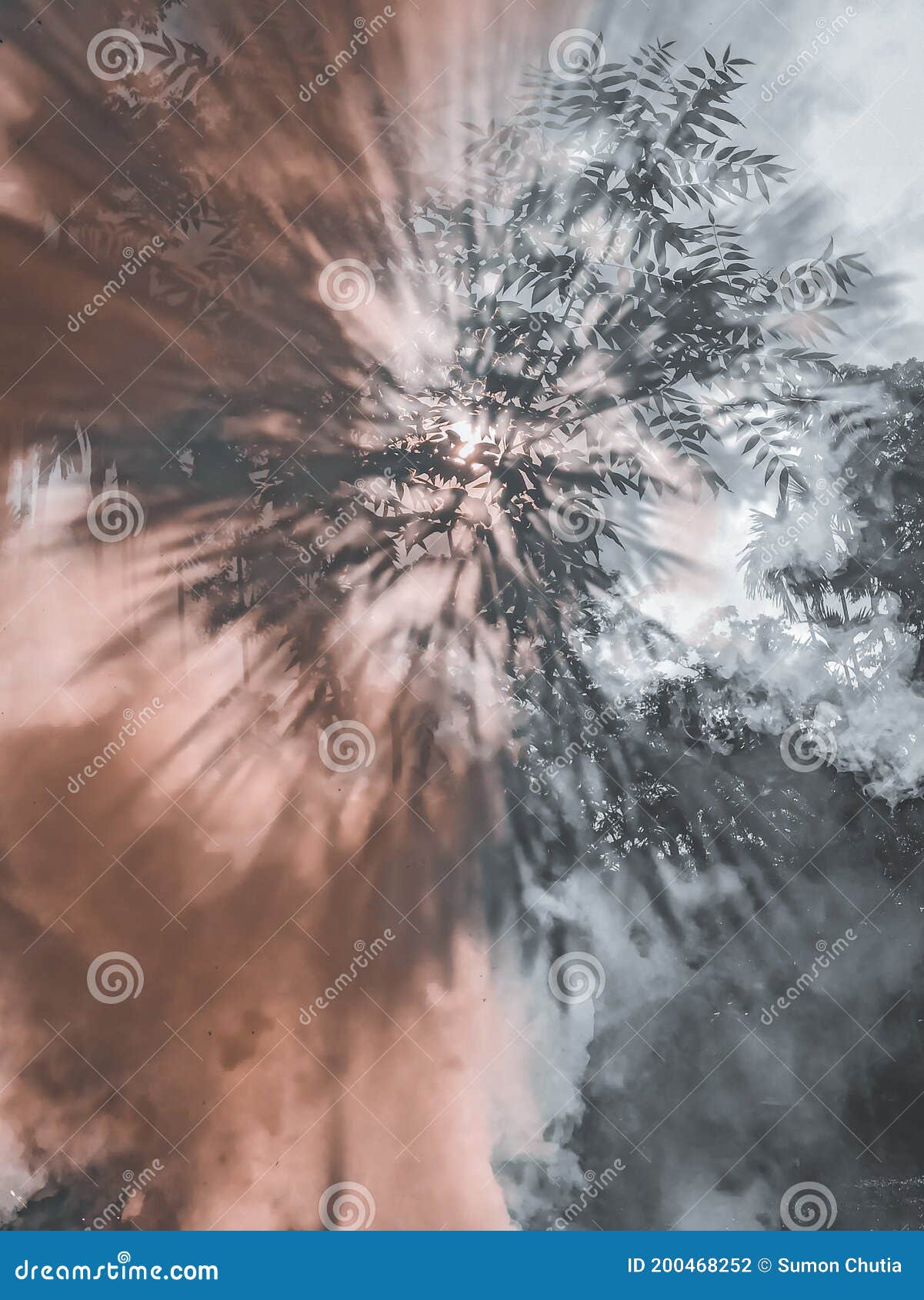 Smoke Picture through Sunrays Stock Photo - Image of godrays, rays ...