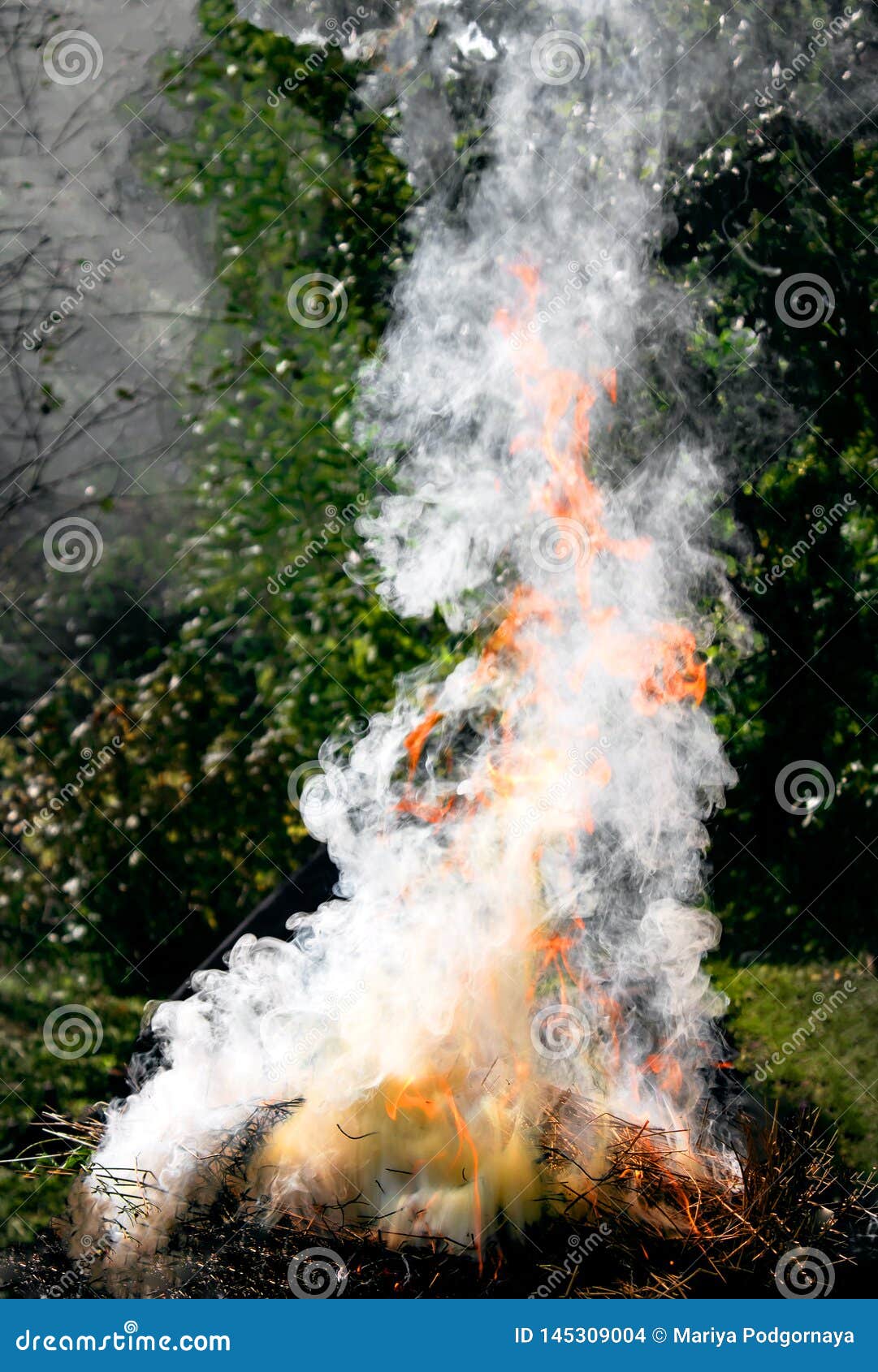 Smoke Pulls Out of the Fire of the Year Smoldering Stock Photo - Image ...