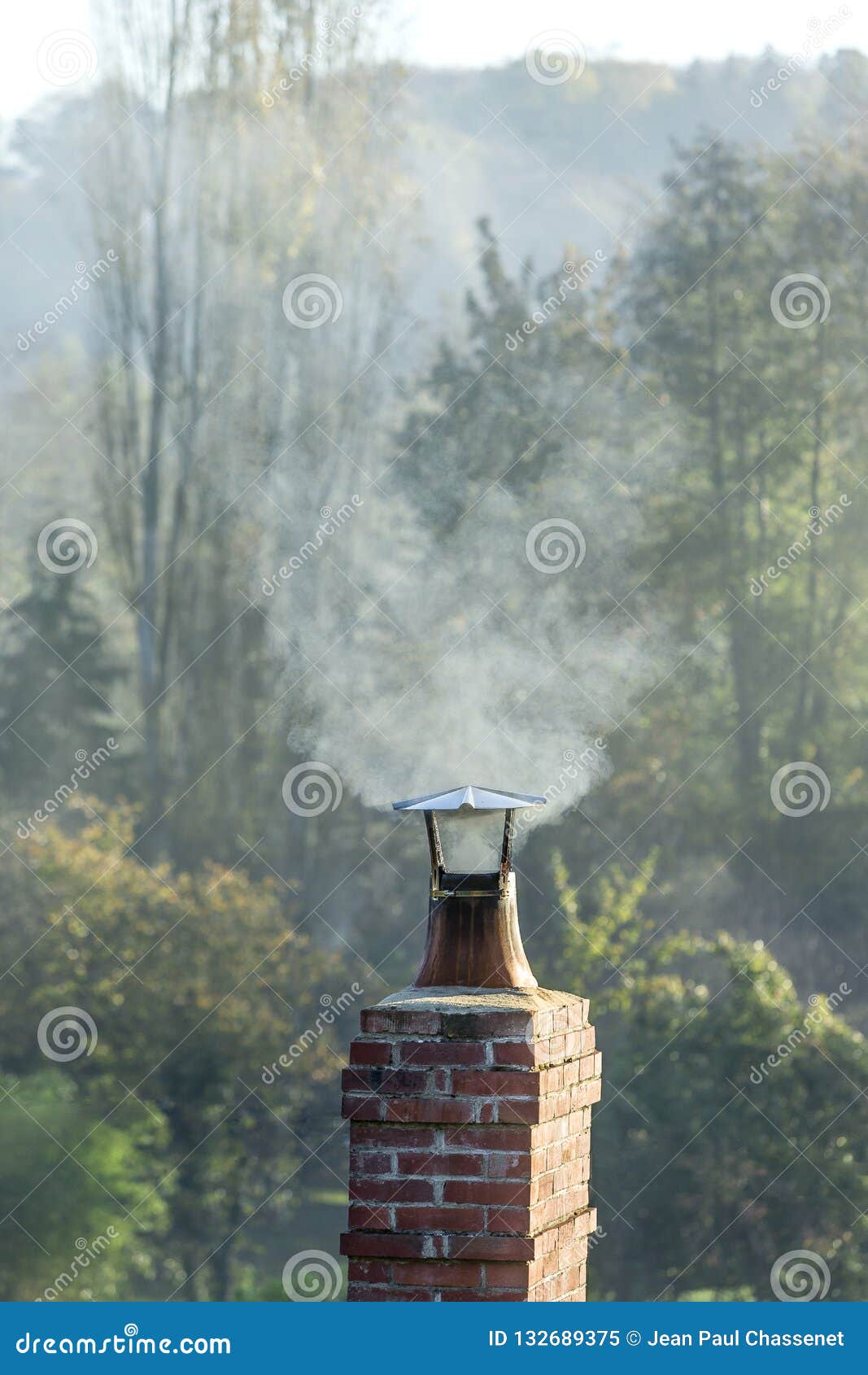 Smoke Raising from a Chimney in Winter Forest Background Stock Image ...