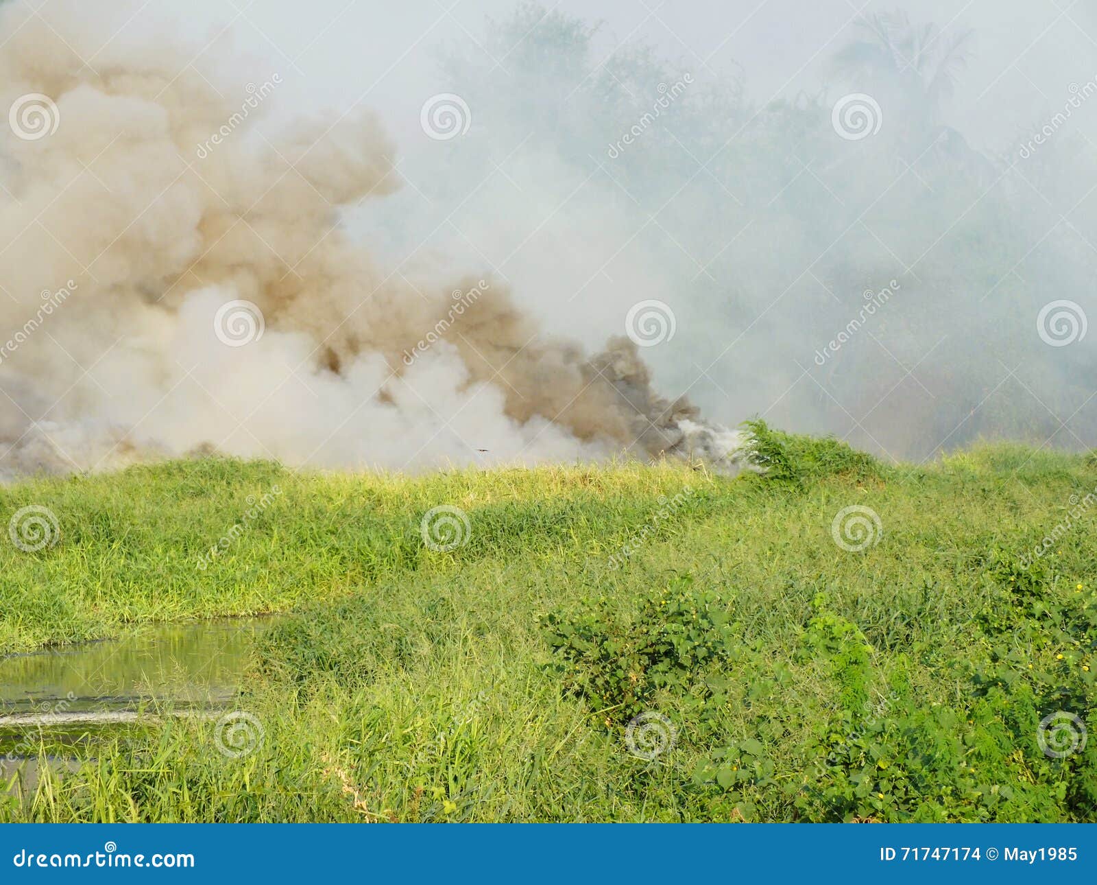 Smoke rising from burning stock photo. Image of flame - 71747174