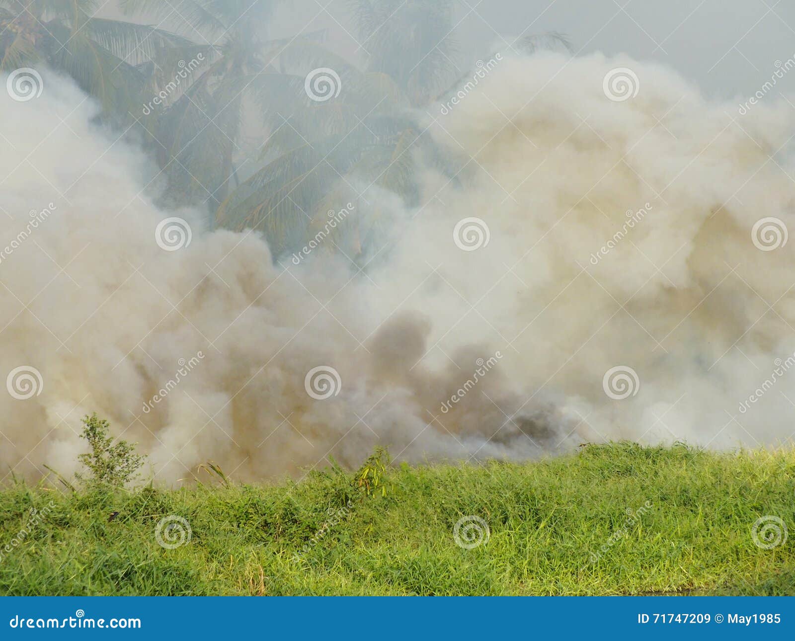 Smoke rising from burning stock image. Image of ecology - 71747209