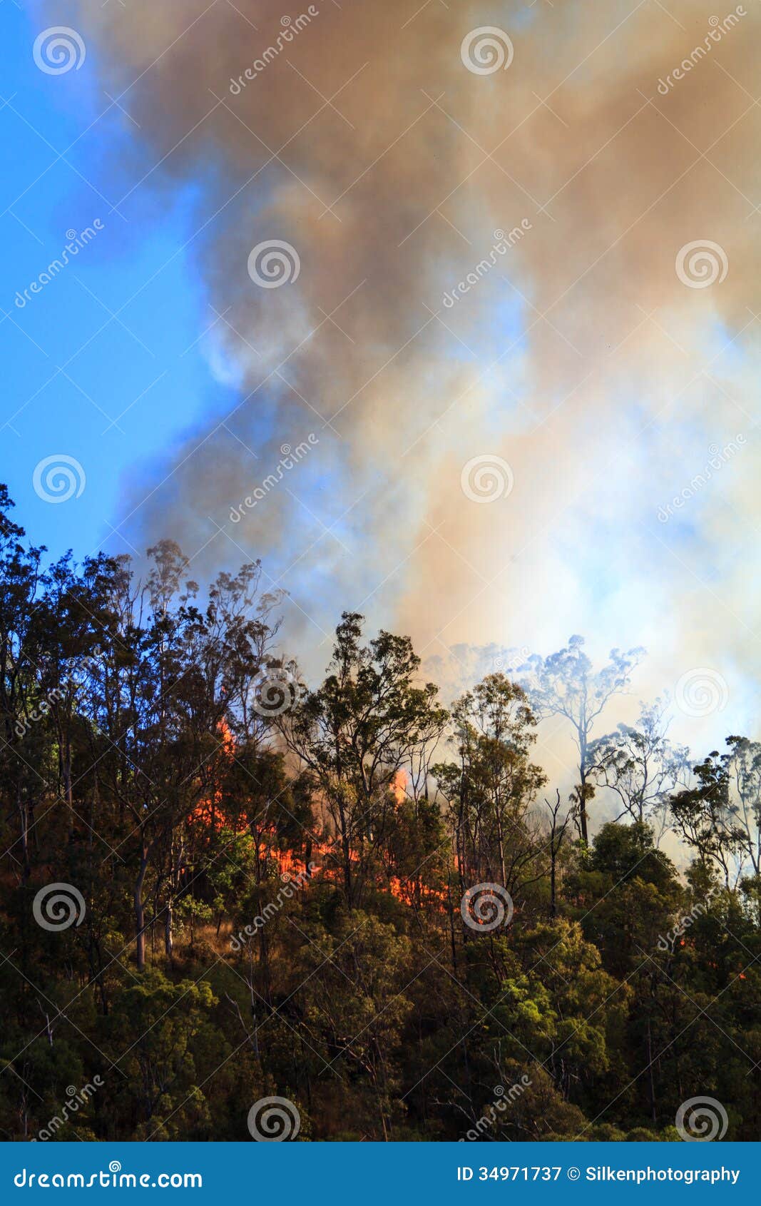 Smoke Rising from Bushfire stock image. Image of danger - 34971737