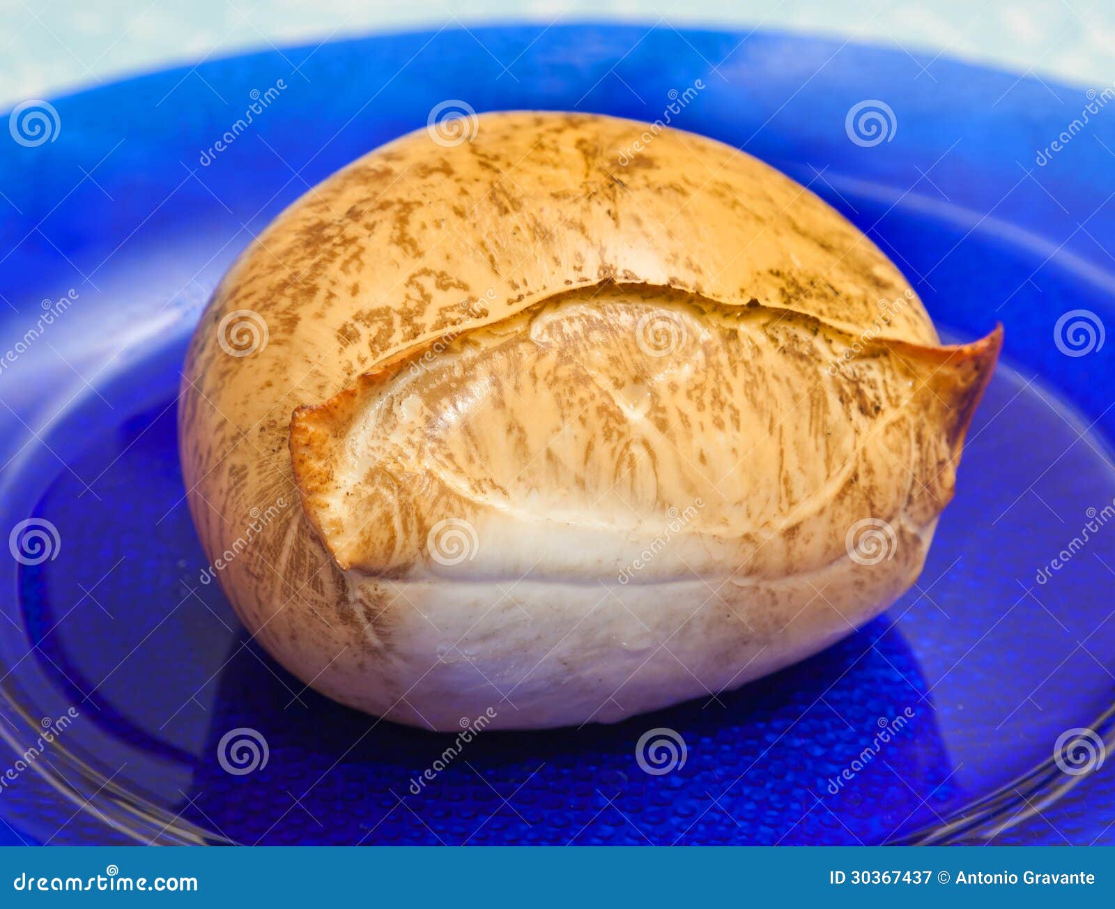 Smoke scamorza stock image. Image of hung, cheese, nutrition - 30367437