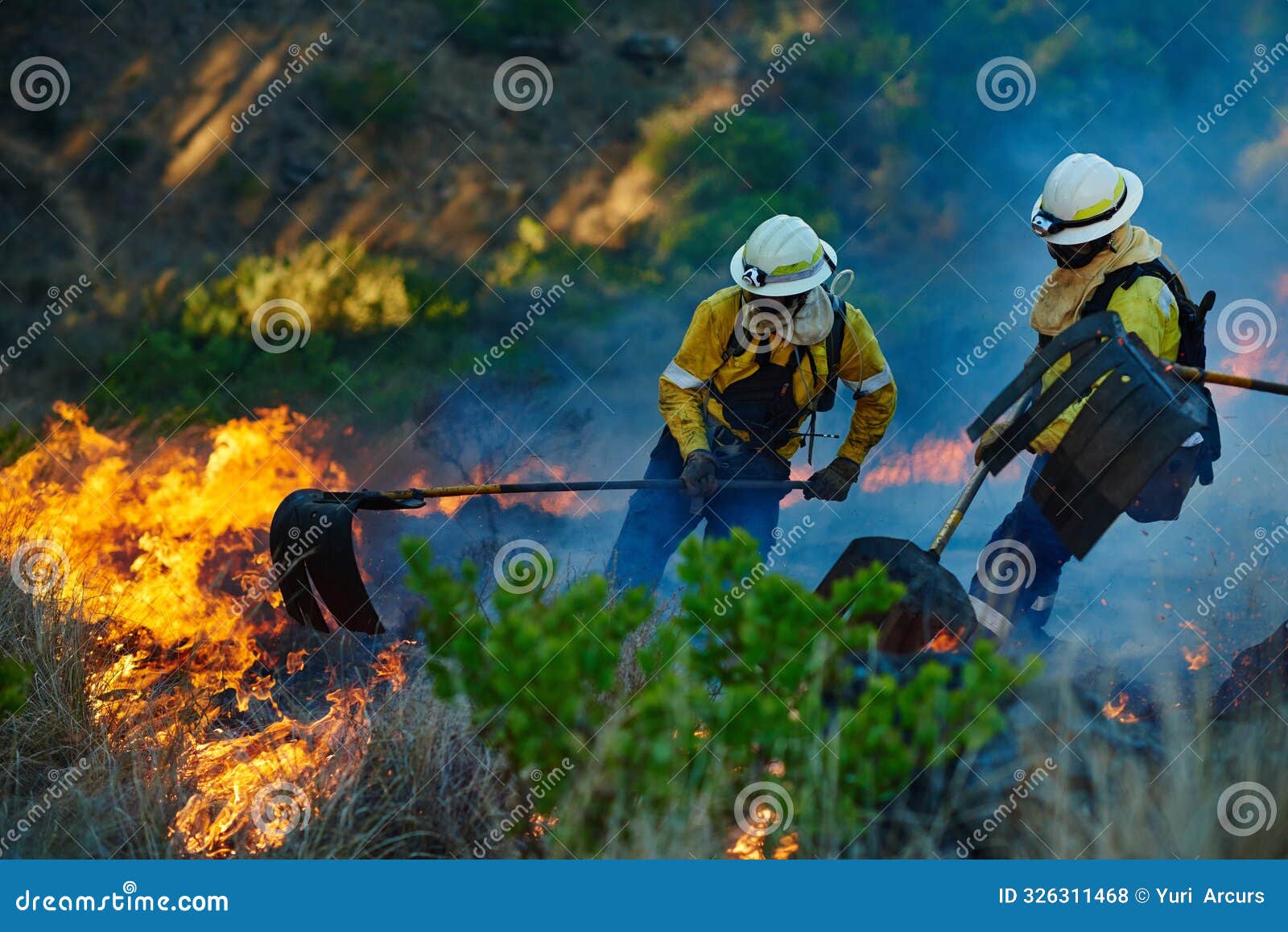 Smoke, Trees and Firefighter Team with Emergency, Disaster Management ...