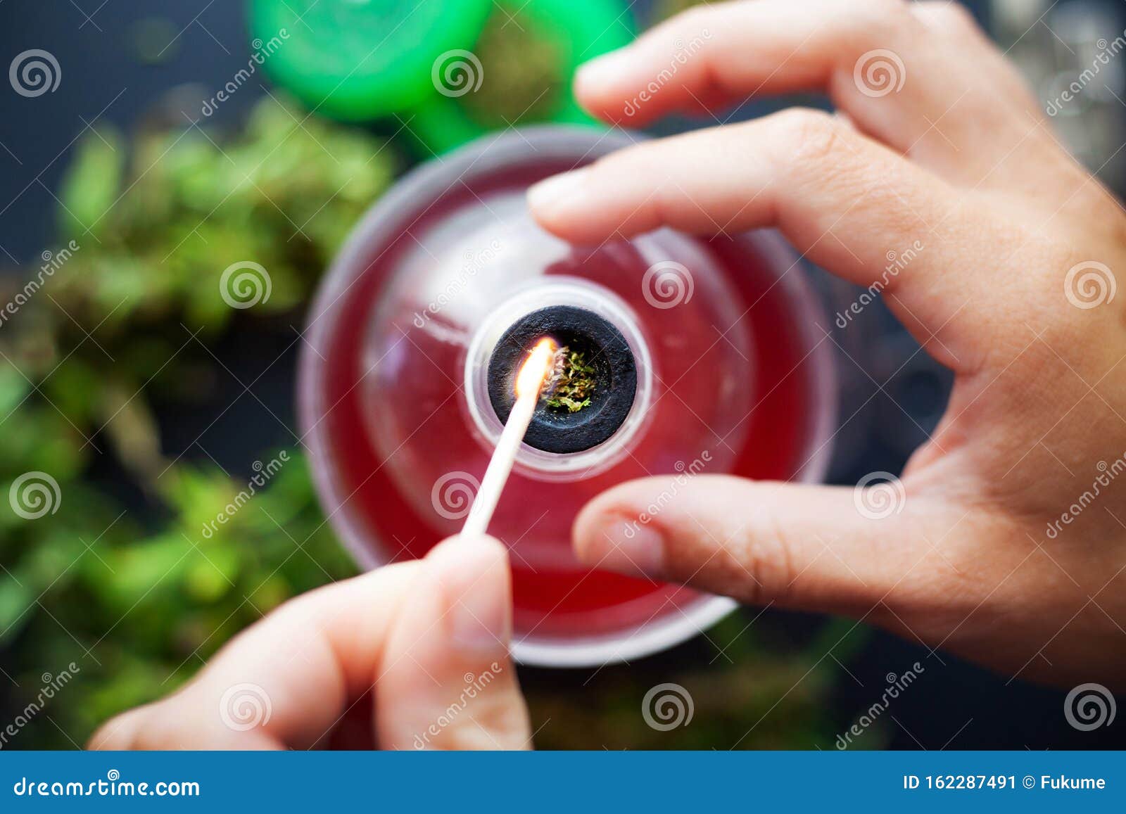 Smoke Weed,cannabis Use through Home Bong,pulling Marijuana Buds ...