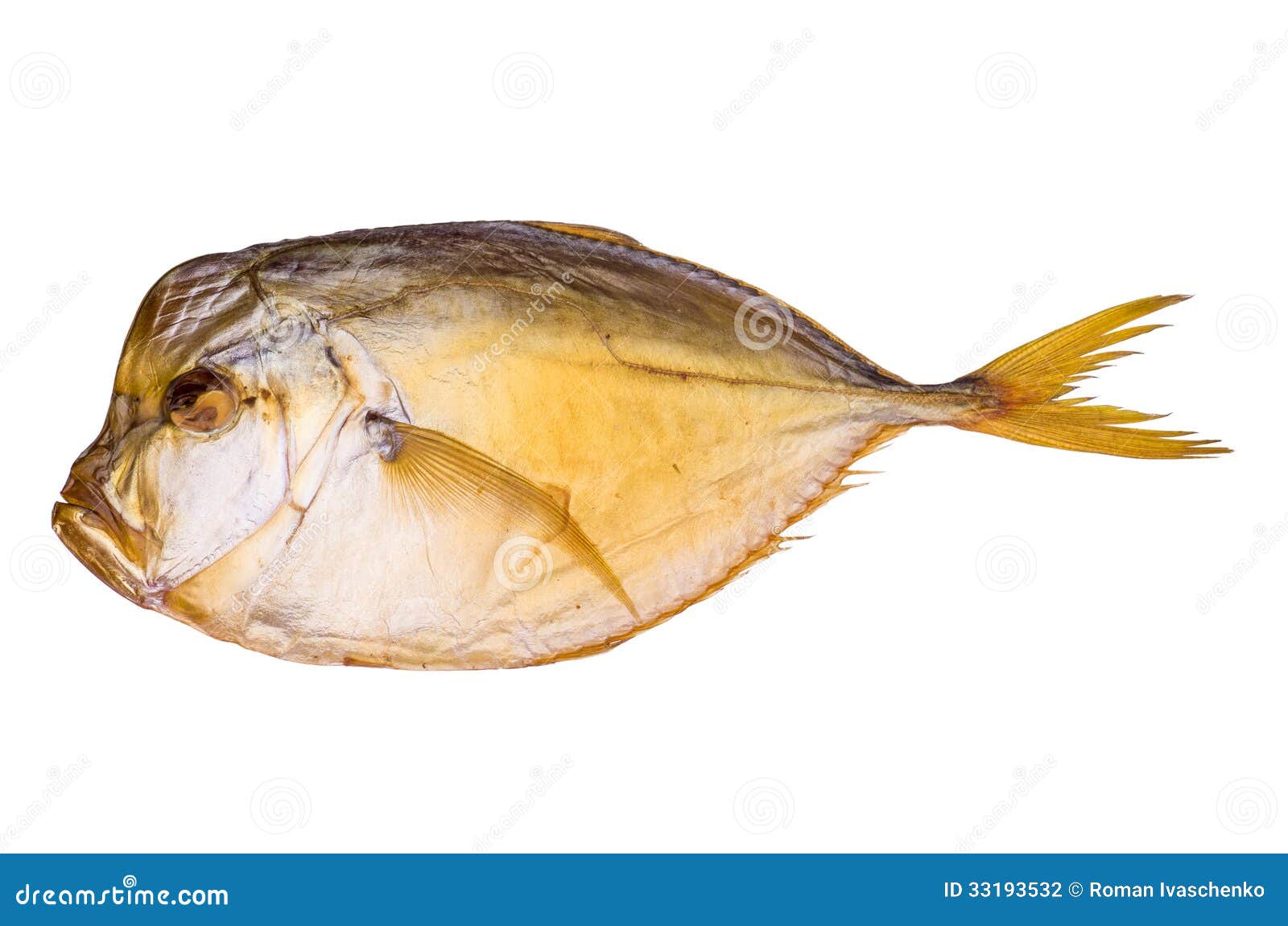 Smoked atlantic moonfish stock photo. Image of dried - 33193532