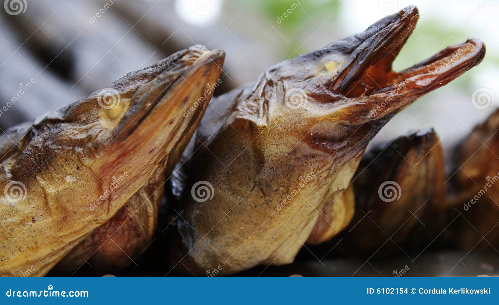 Smoked Eels stock photo. Image of fish, restaurant, beverage - 6102154