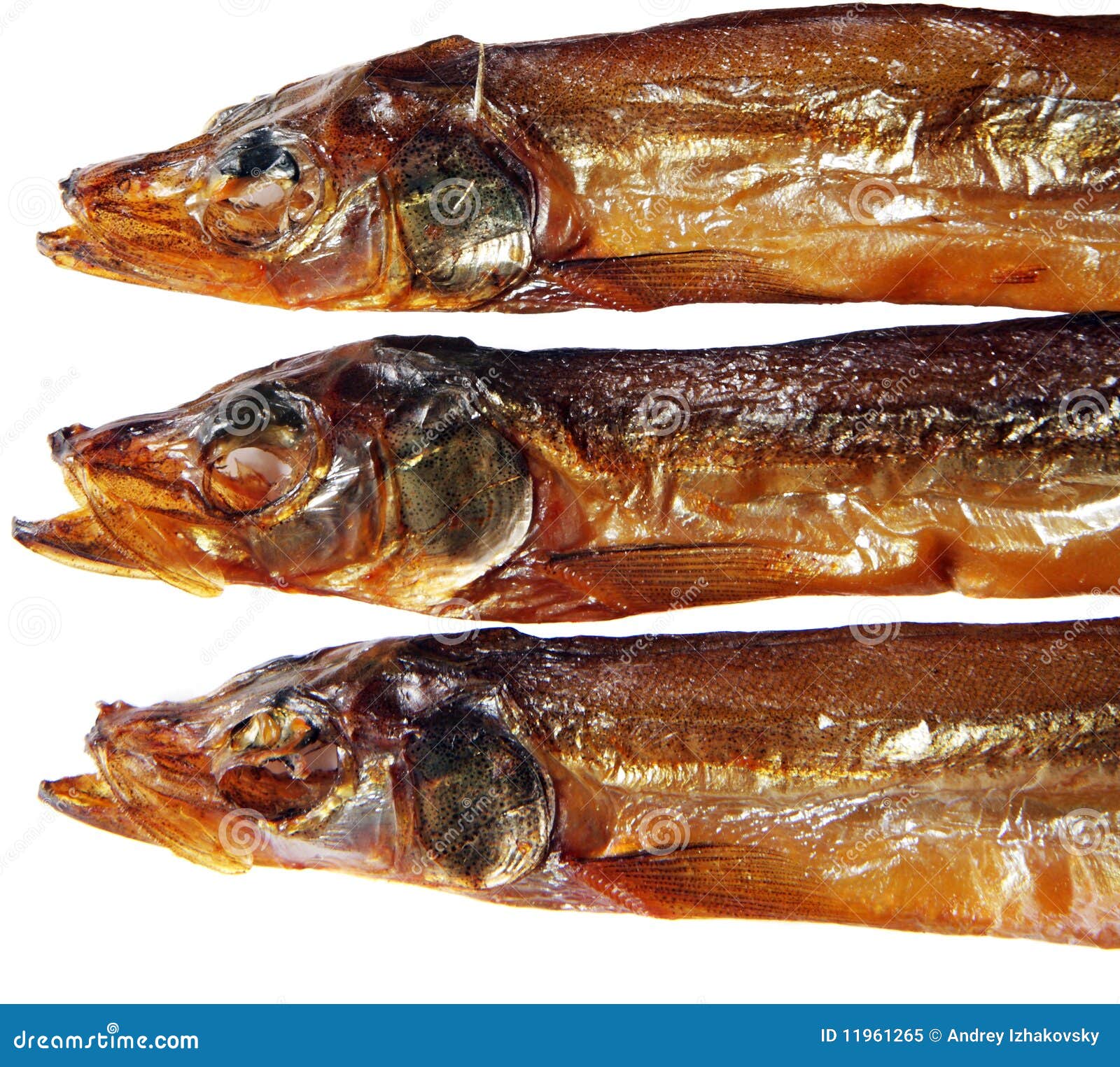 Smoked fish stock image. Image of small, food, white - 11961265