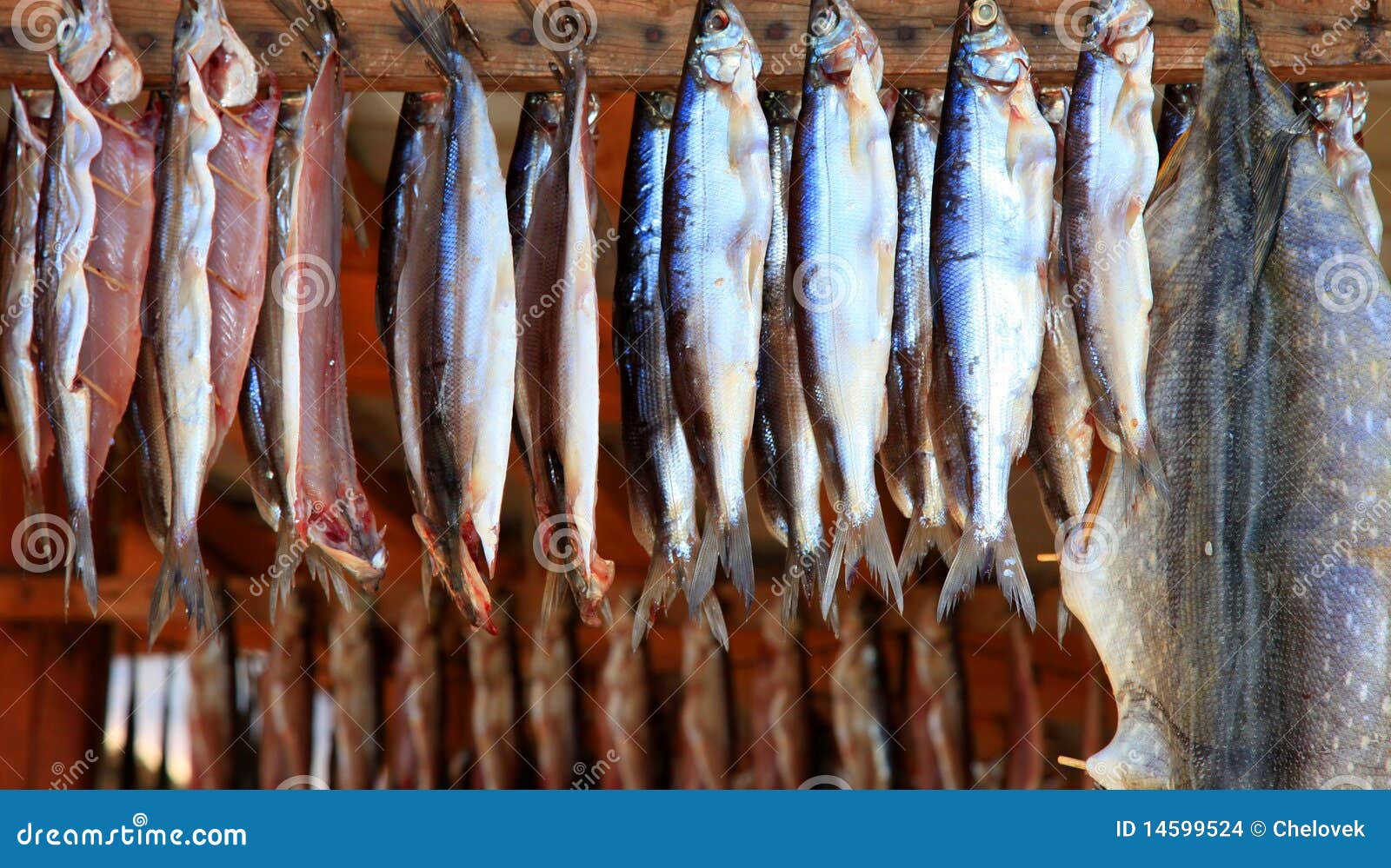 Smoked fish stock photo. Image of fish, cold, group, outdoor - 14599524