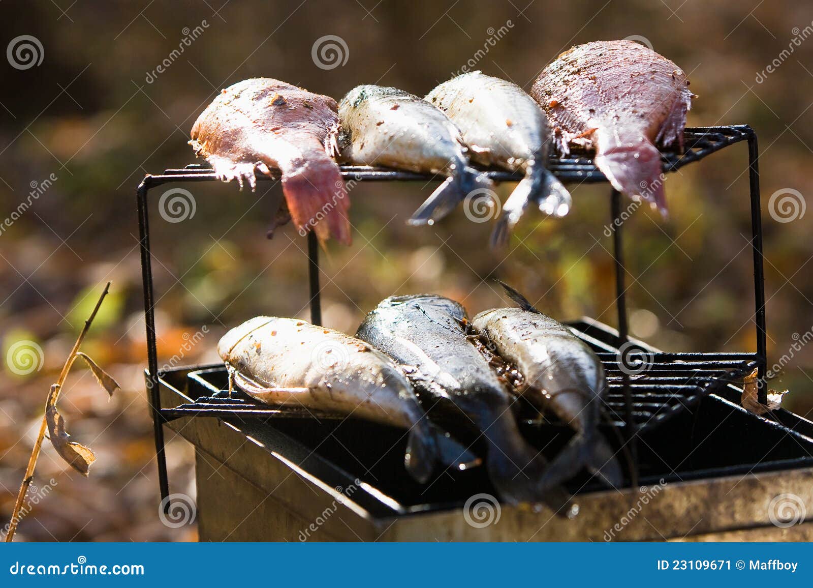 Smoked fish stock image. Image of cooking, gourmet, nutrition - 23109671