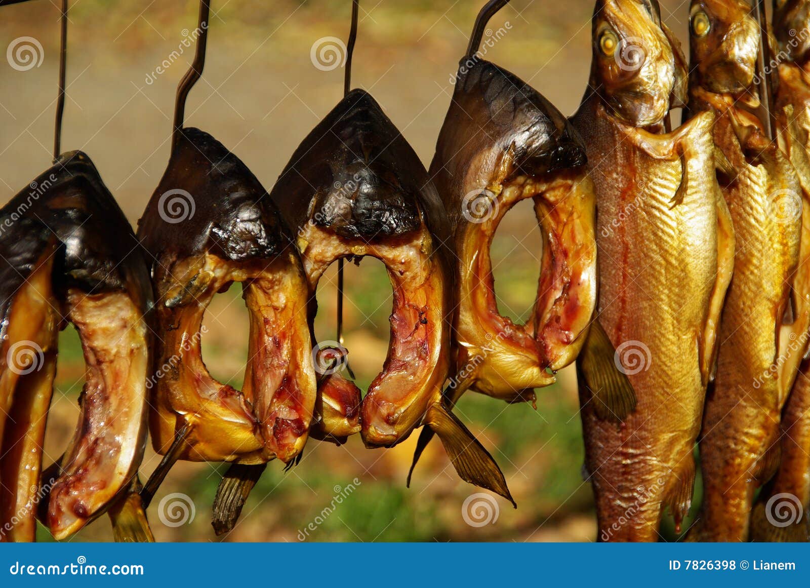 Smoked fish stock photo. Image of fish, kipper, hanging - 7826398