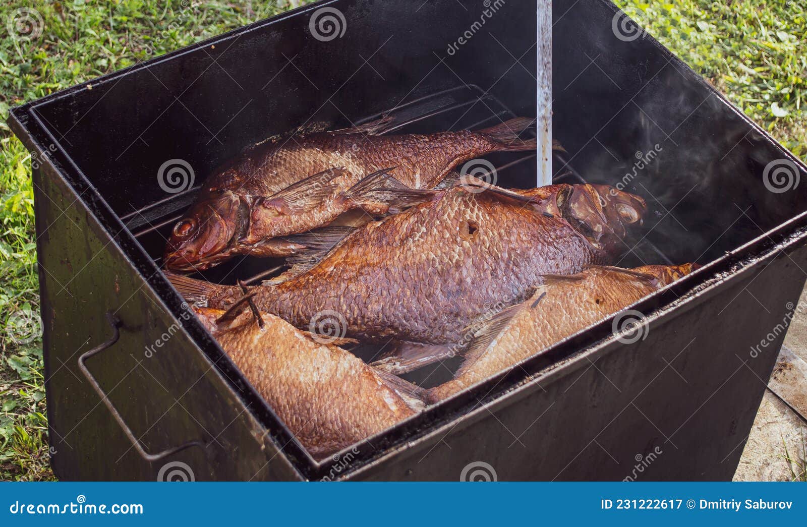 Smoked Fish Bream in the Smokehouse. Stock Image - Image of healthy ...