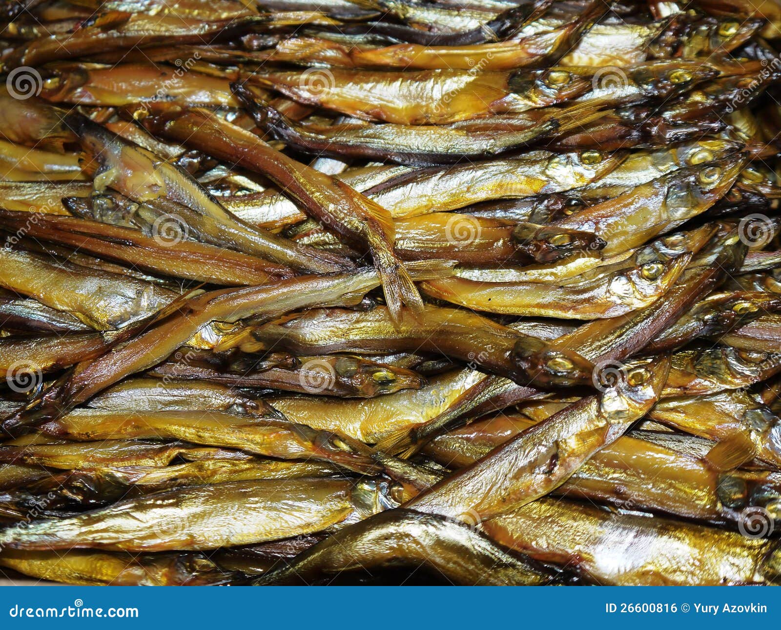 Smoked fish capelin. stock photo. Image of tail, capelin - 26600816