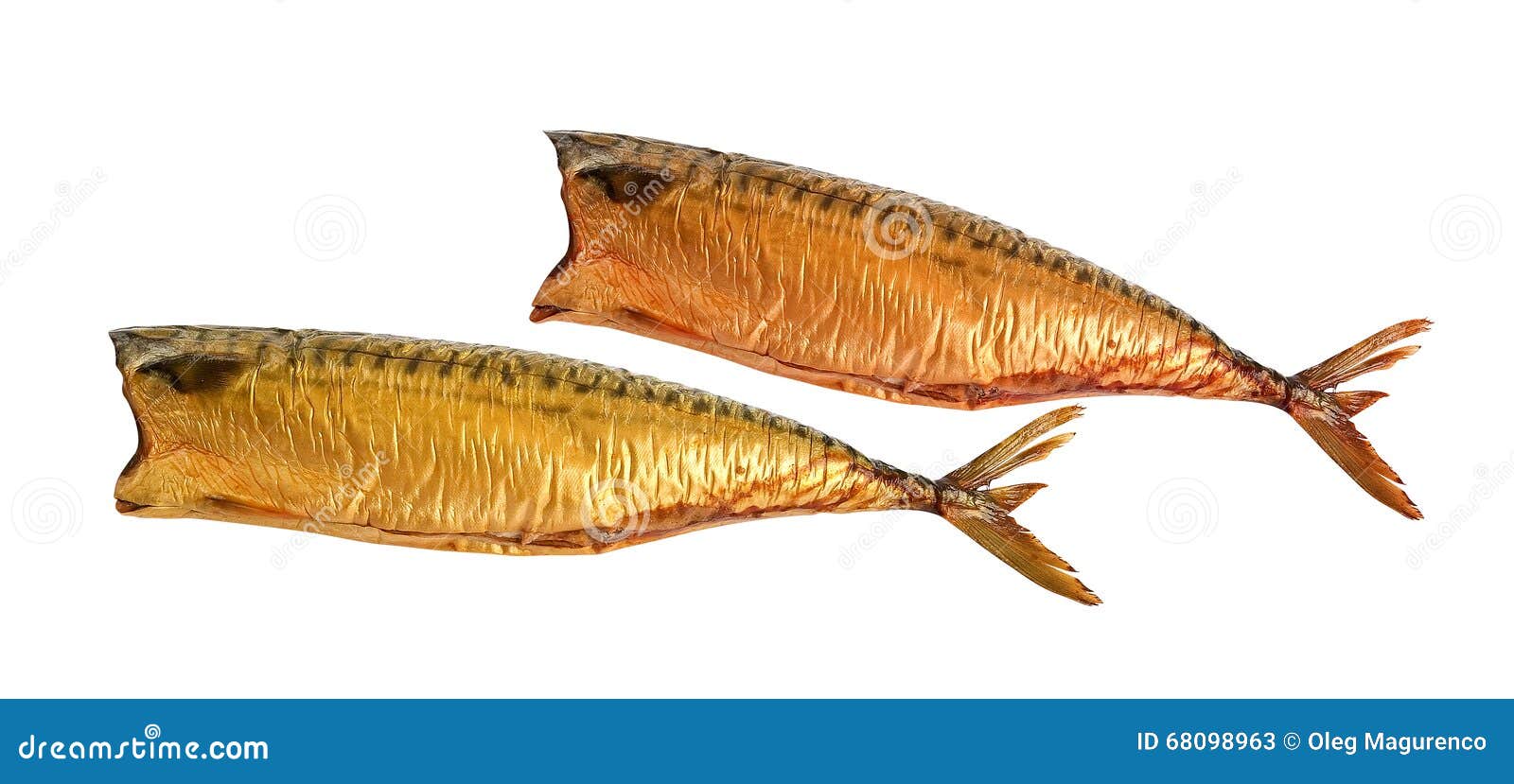 Smoked Fish without the Head Isolated Stock Image - Image of gourmet ...