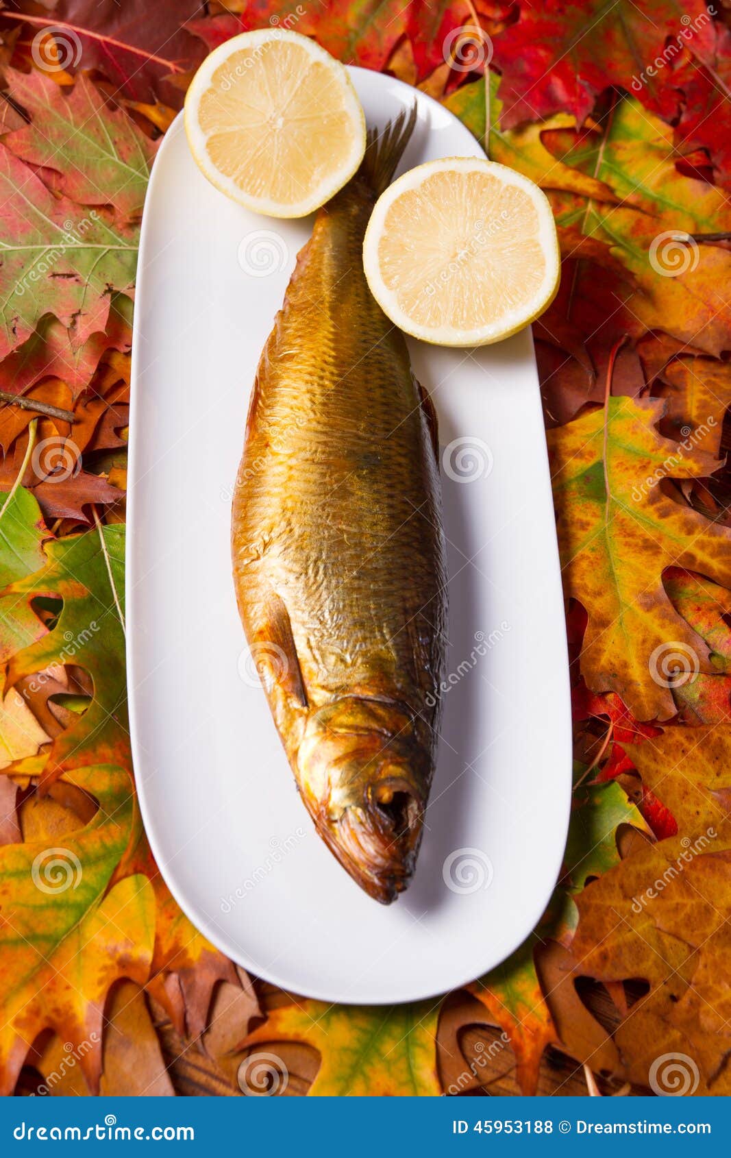Smoked fish on a plate stock photo. Image of green, delicatessen - 45953188