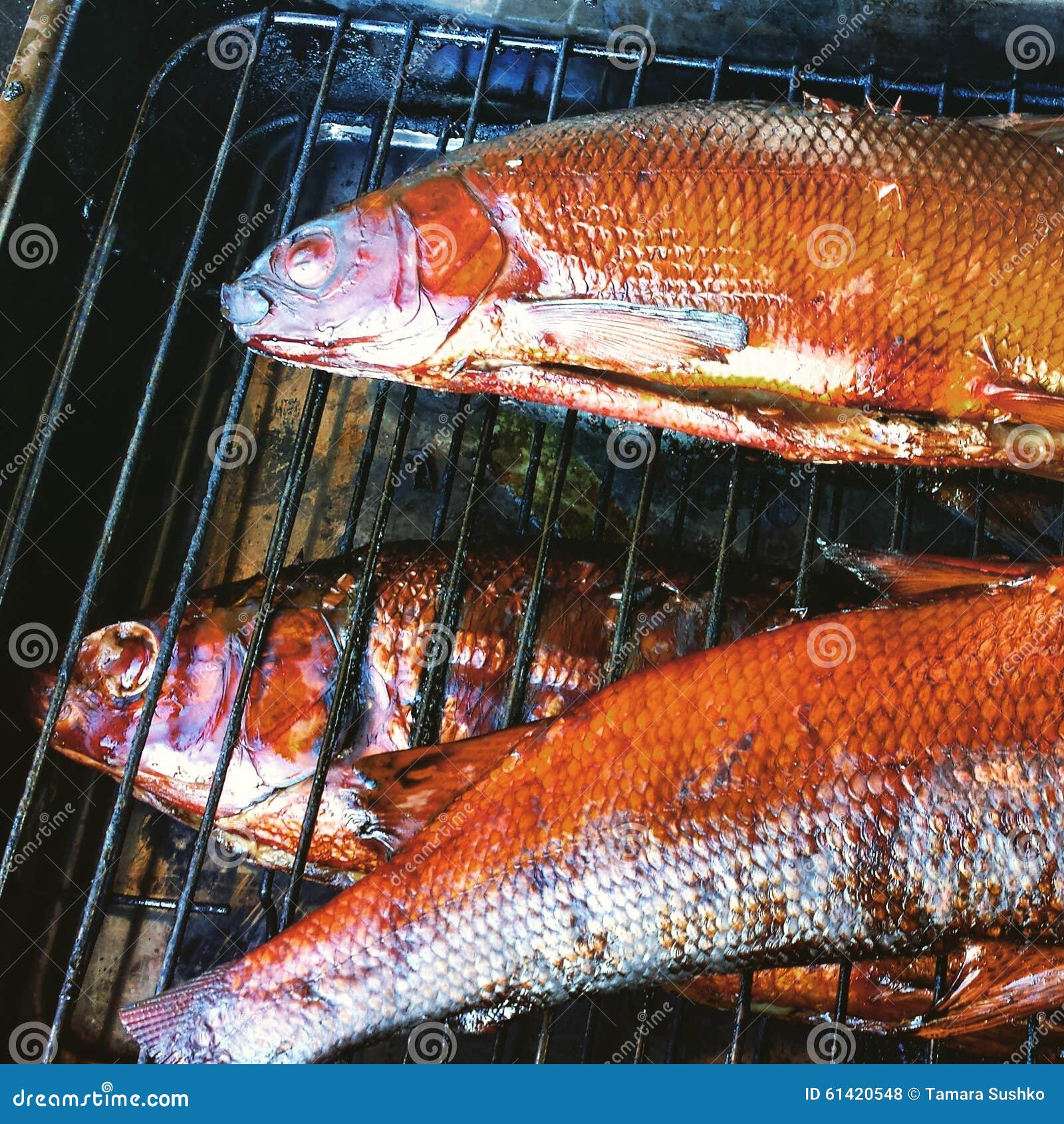 Smoked fish stock photo. Image of beach, color, drink - 61420548