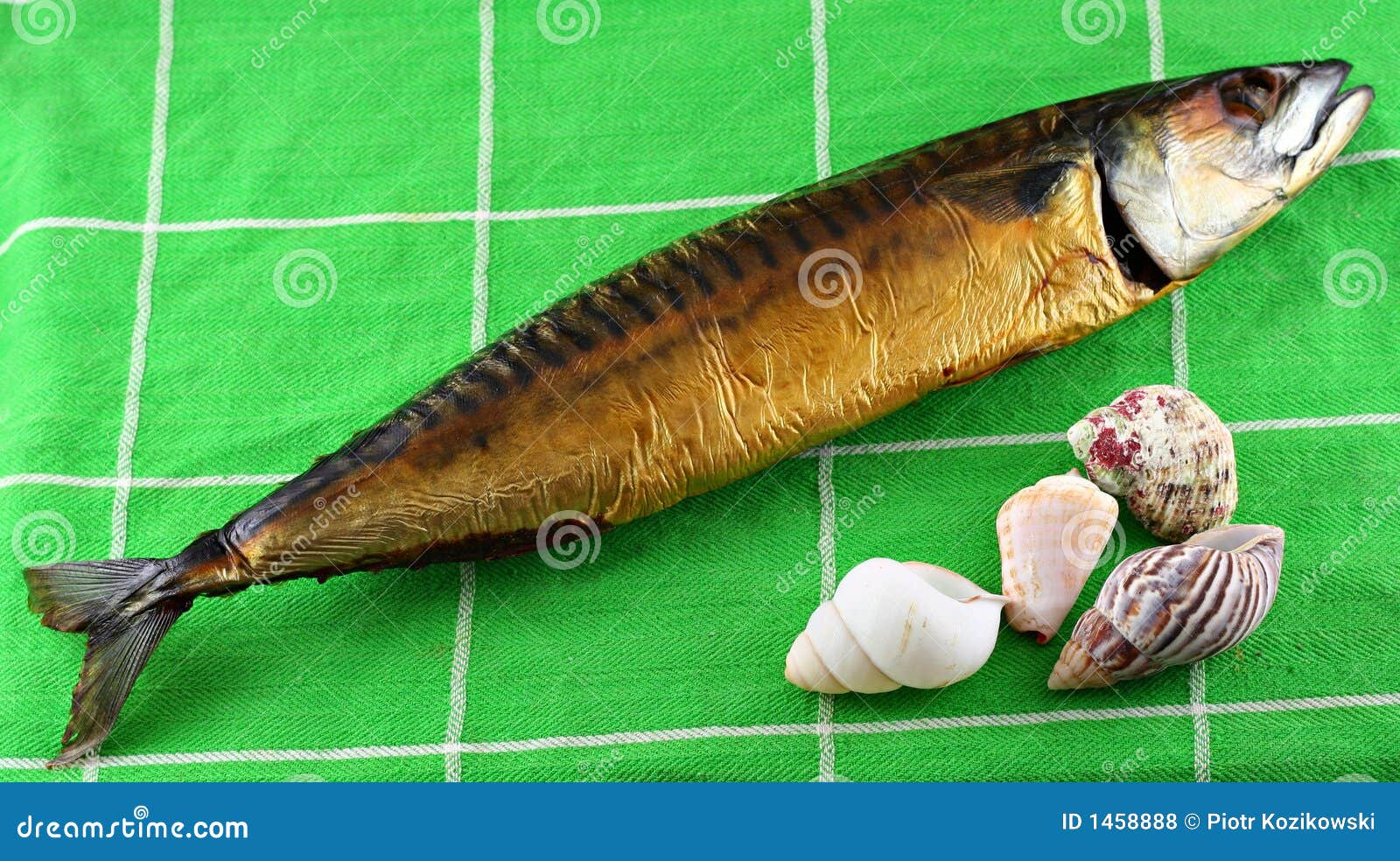 Smoked Fish with Sea Shells Stock Photo - Image of fork, cooking: 1458888